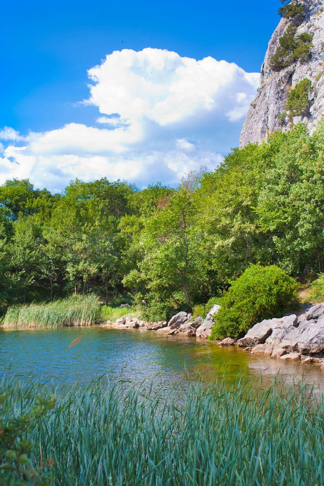 See | Stock Bild | Colourbox