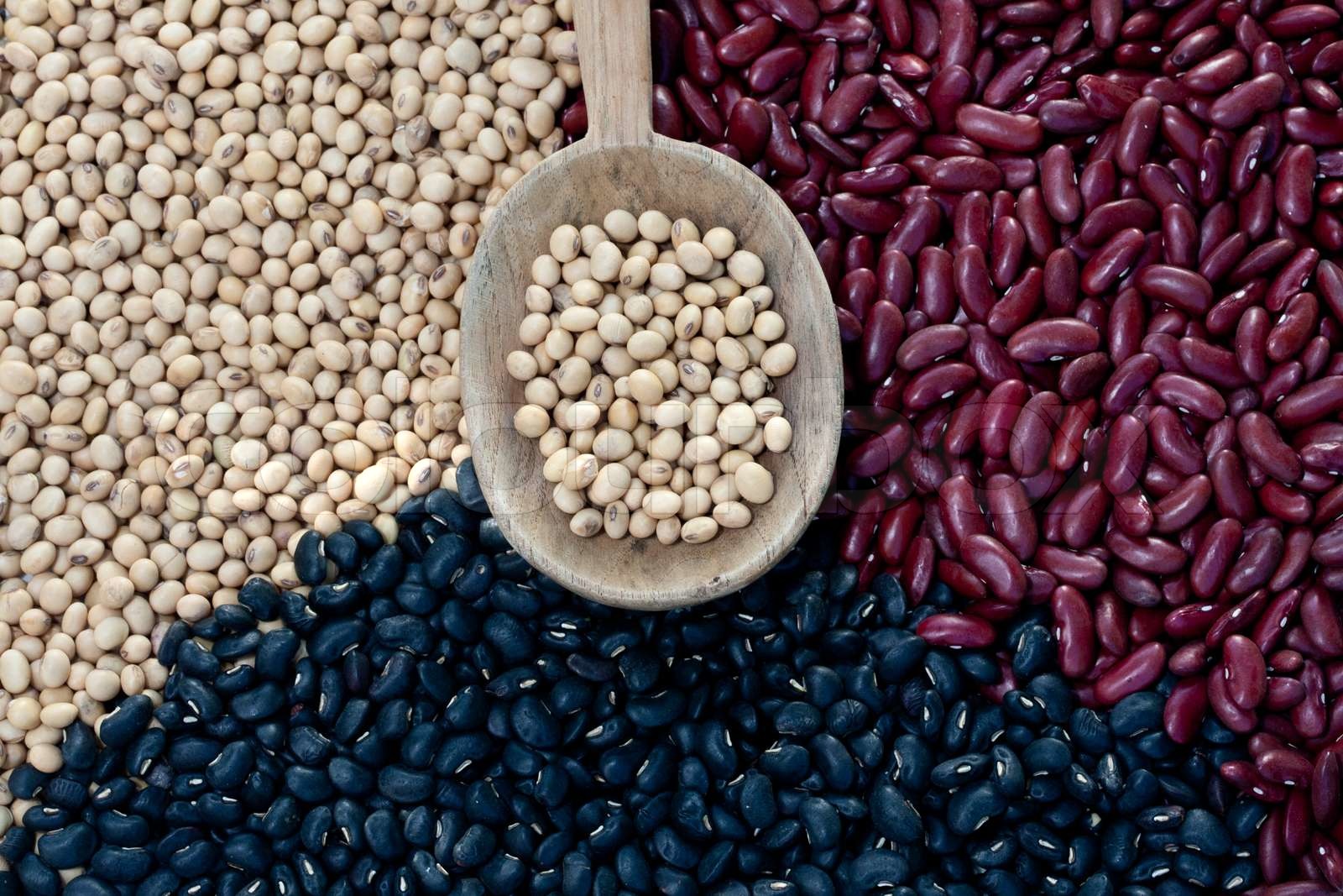 Beans | Stock image | Colourbox