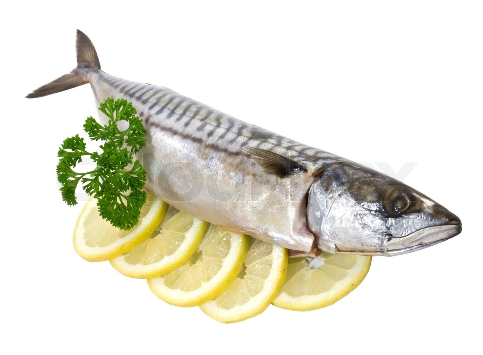 Gesalzene Makrele mit Zitrone auf einem weißen Hintergrund | Stock Bild ...