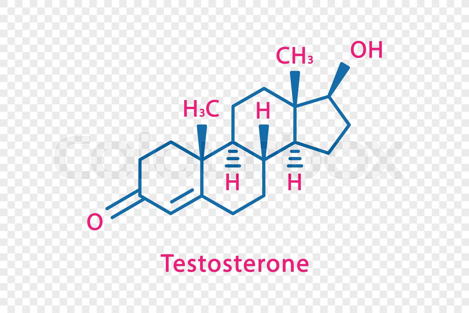 Testosterone Molecule Structure