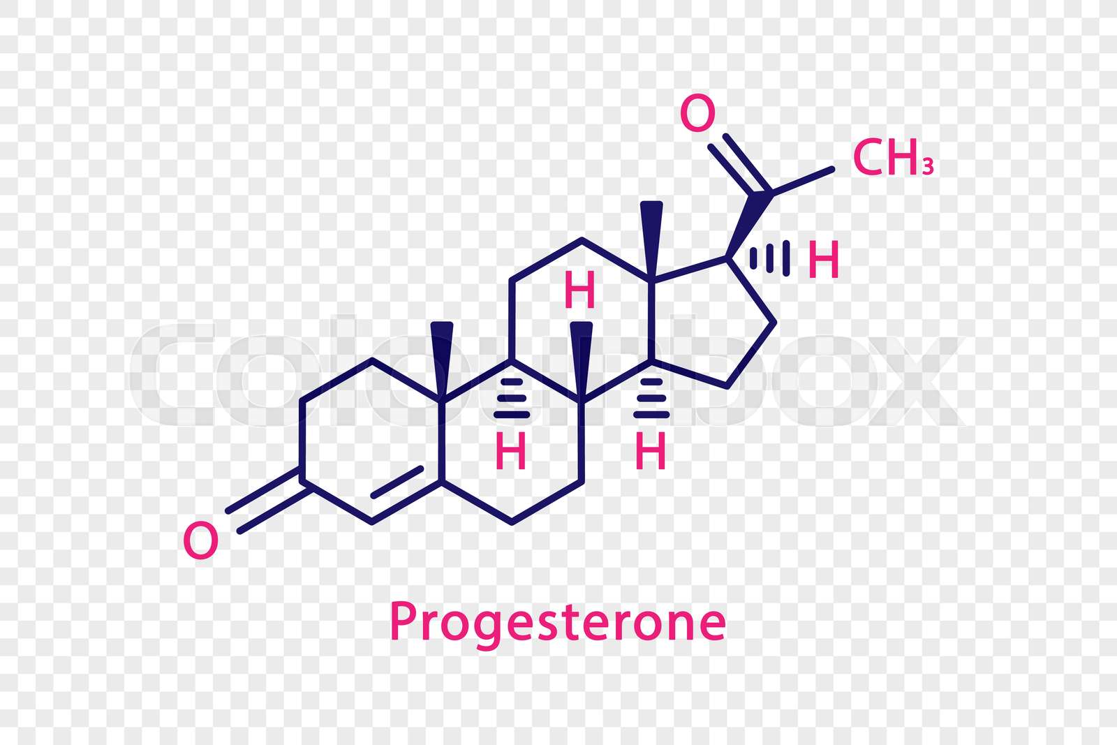 Progesterone Structure