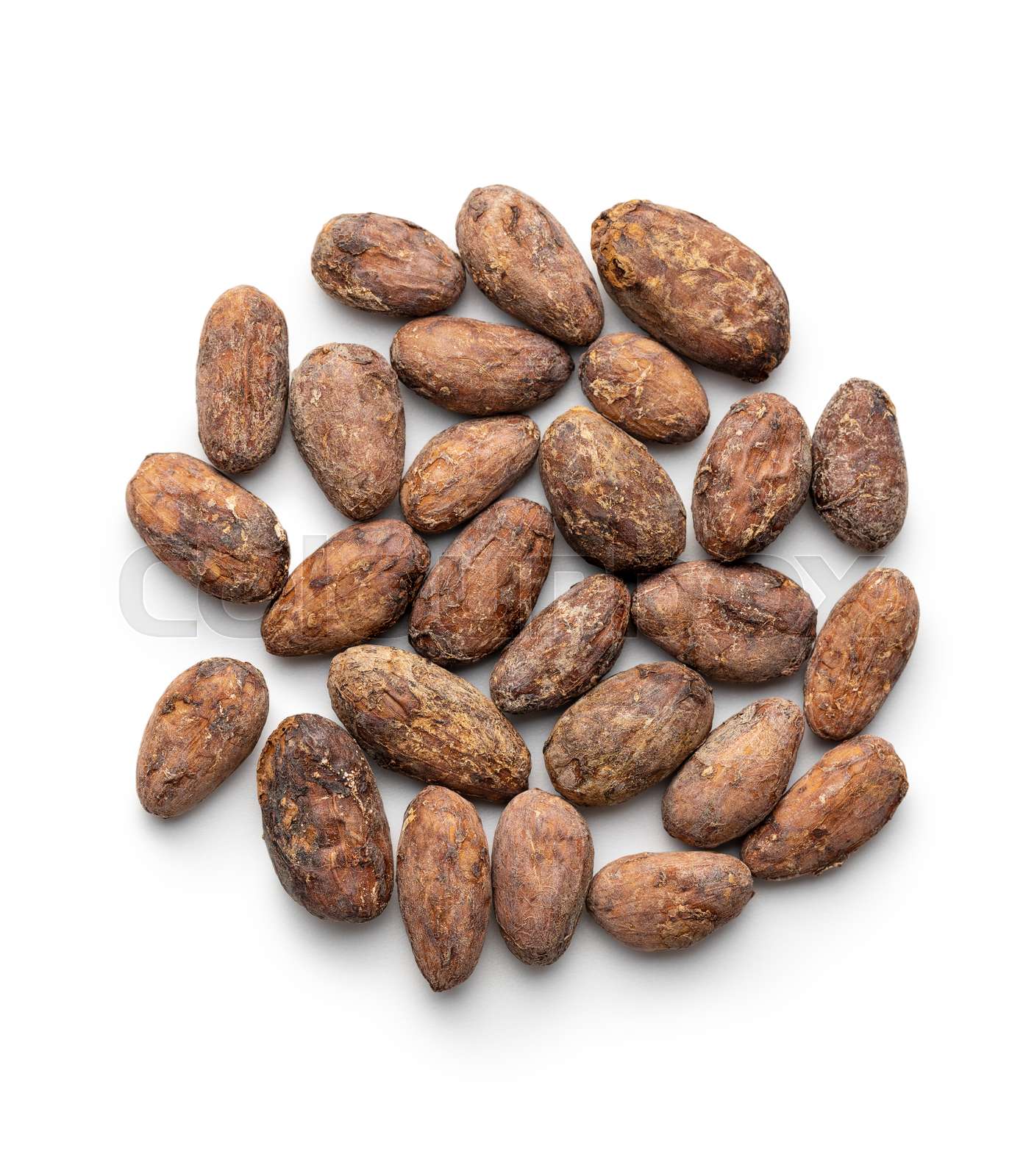 Dried cocoa beans | Stock image | Colourbox