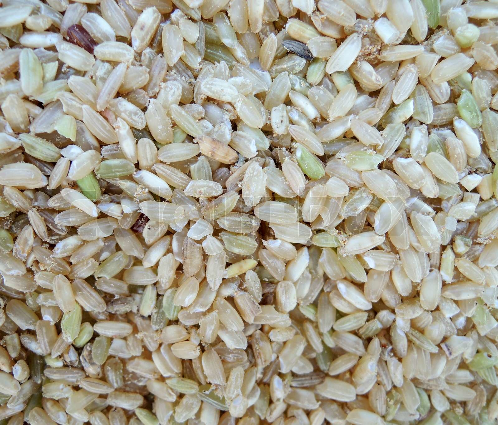 Integral rice texture | Stock image | Colourbox
