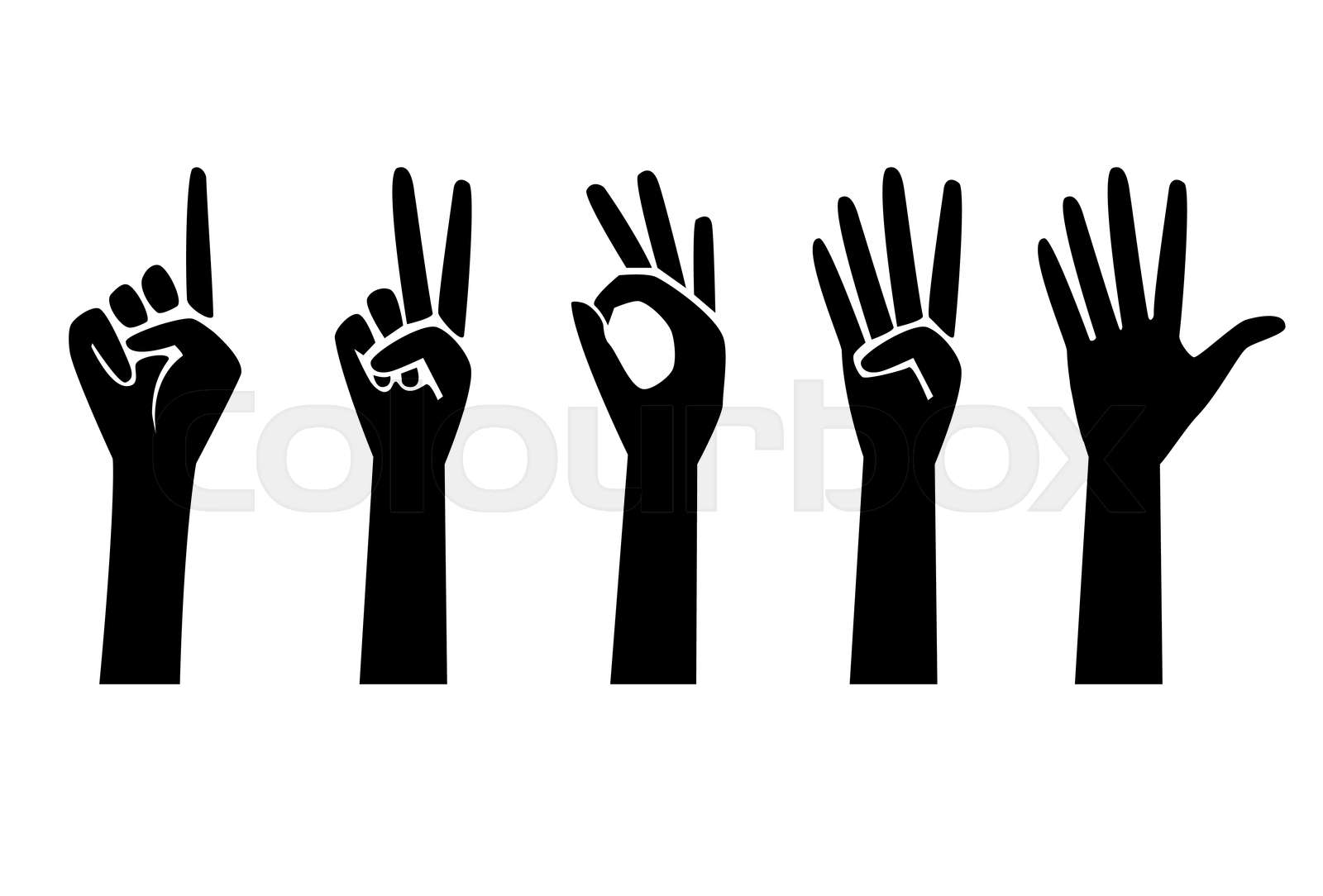 Set of number 1 2 3 4 5 with hand sign isolated on white background ...