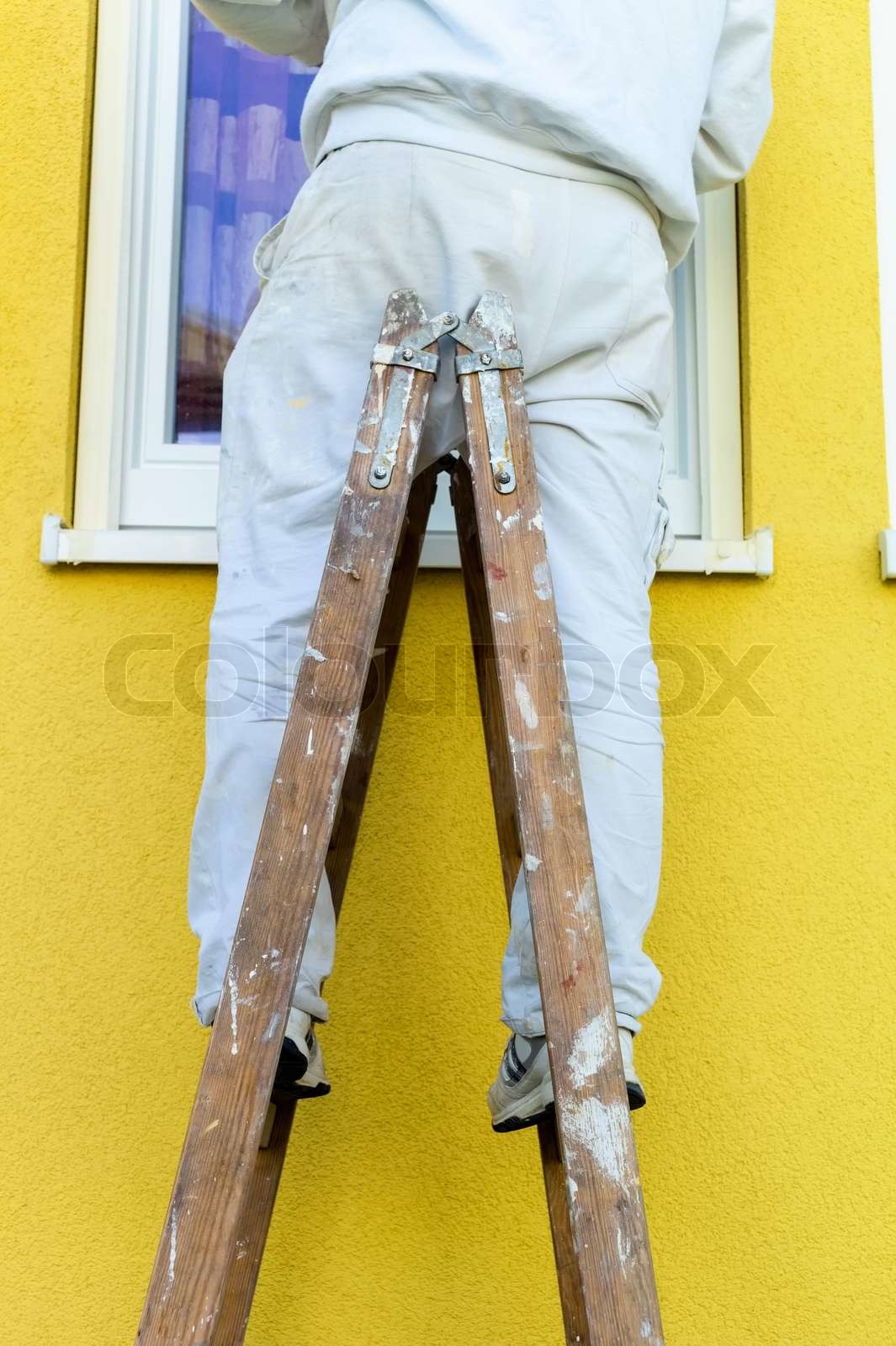 painter on ladder | Stock image | Colourbox