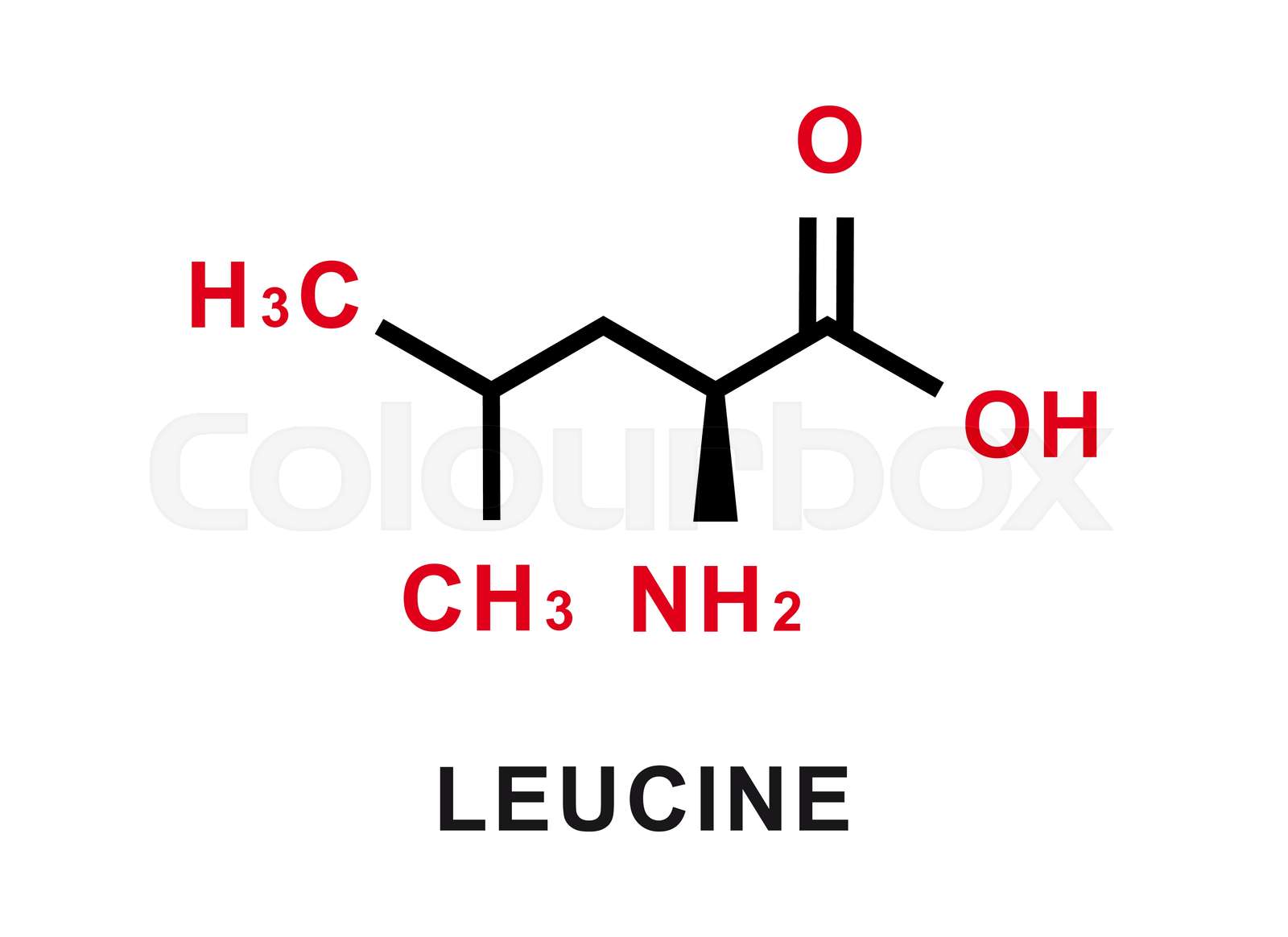 Structure Of Leucine