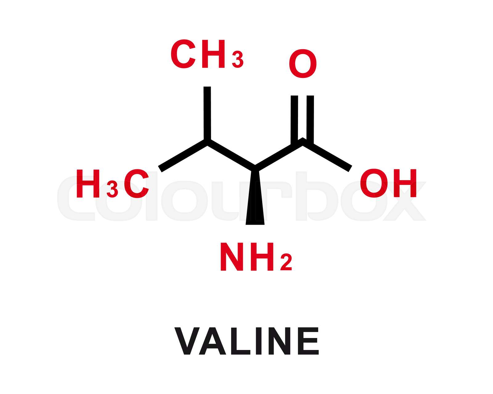 Structural Formula For Valine