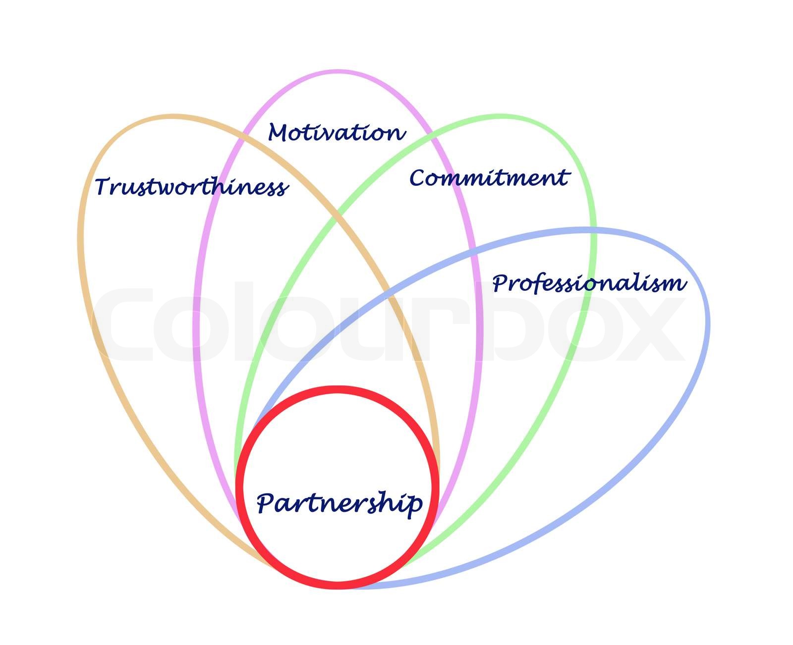 Diagram of partnership | Stock image | Colourbox