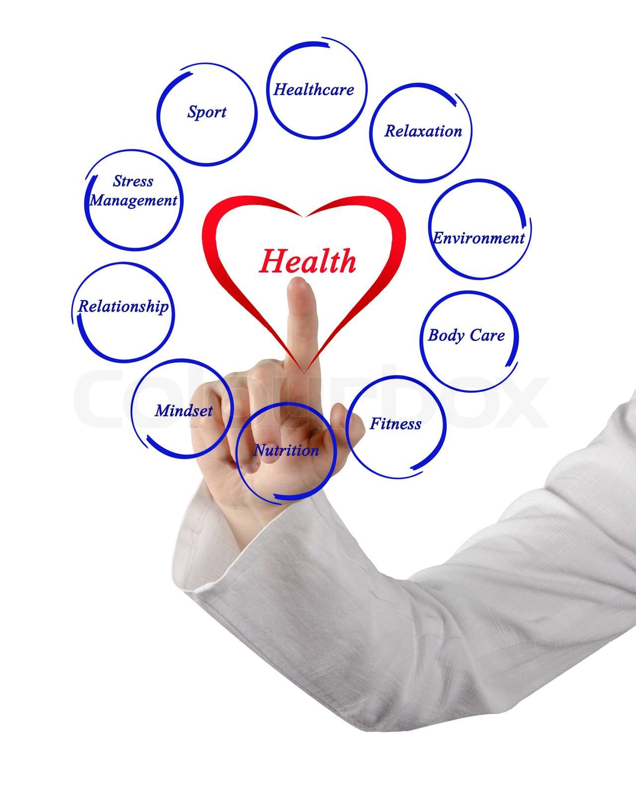 Diagram of health | Stock image | Colourbox