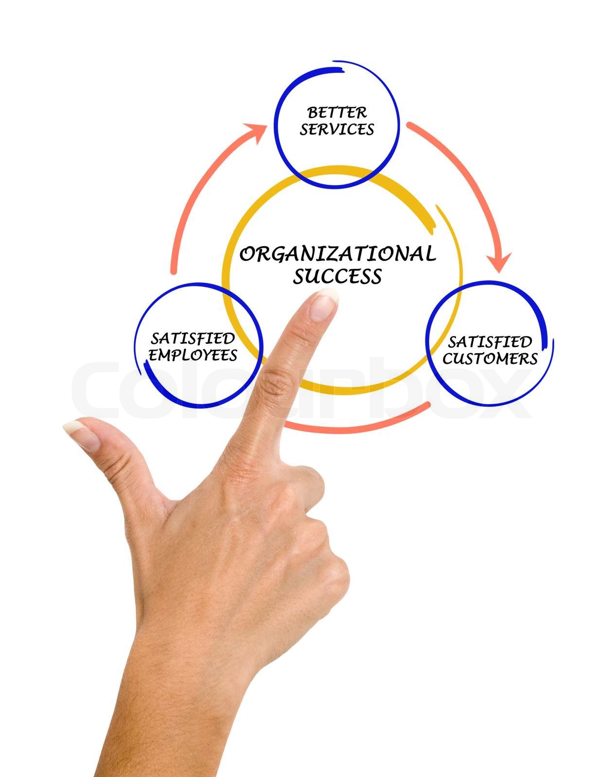 Management diagram | Stock foto | Colourbox