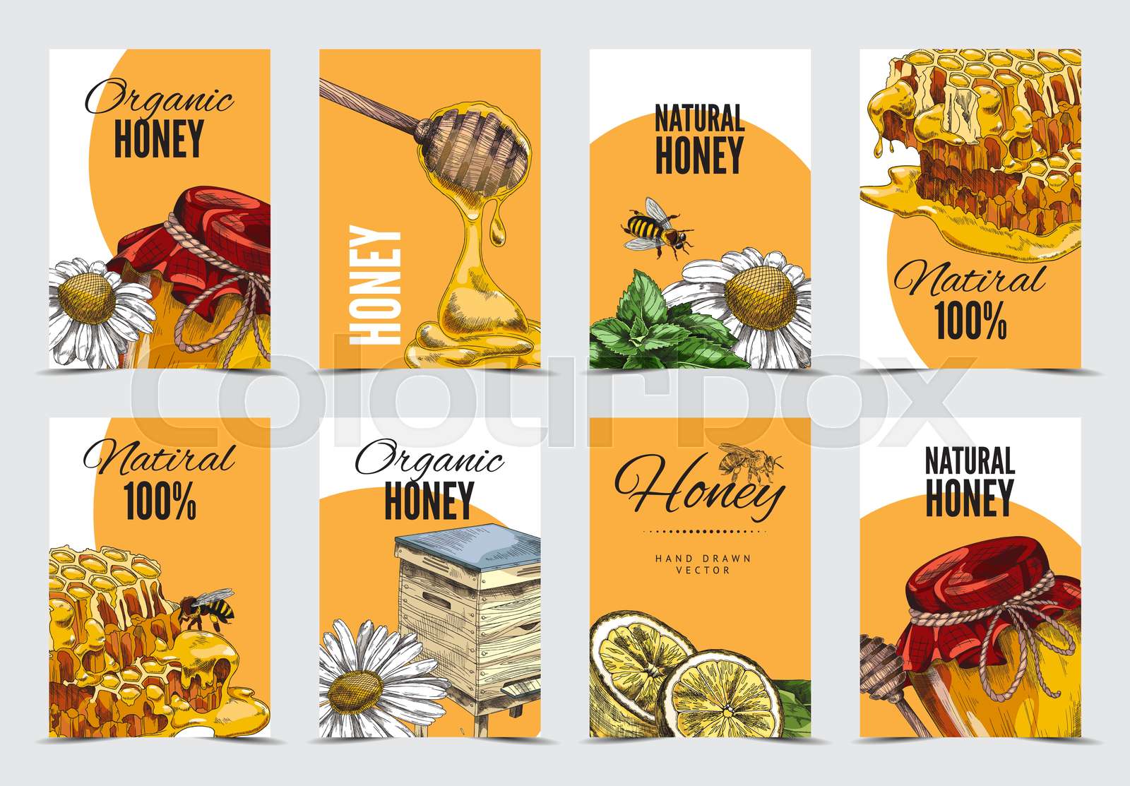 Bee honey hand drawn labels or flyers collection, sketch vector ...