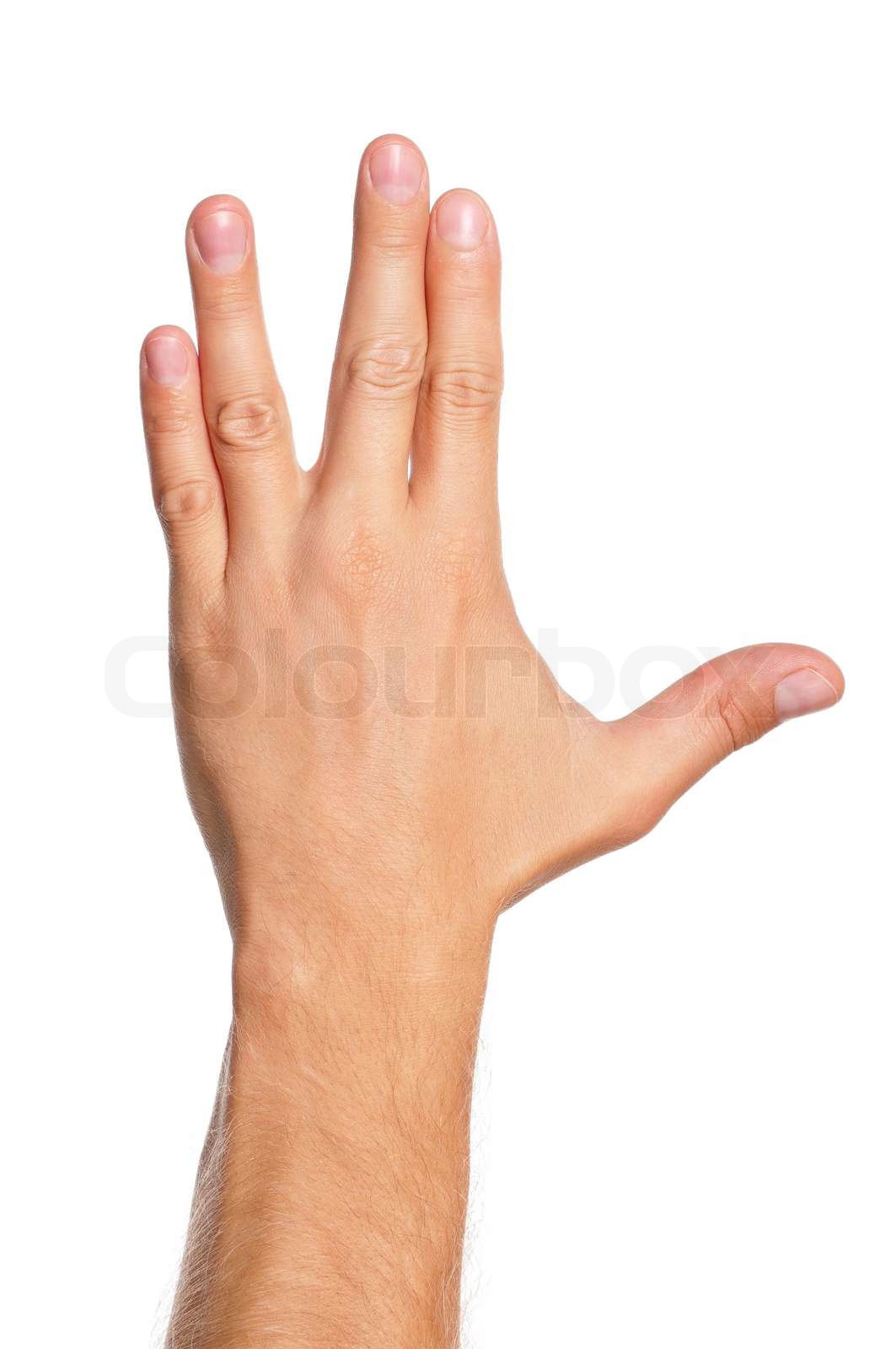 Man Hand | Stock Bild | Colourbox