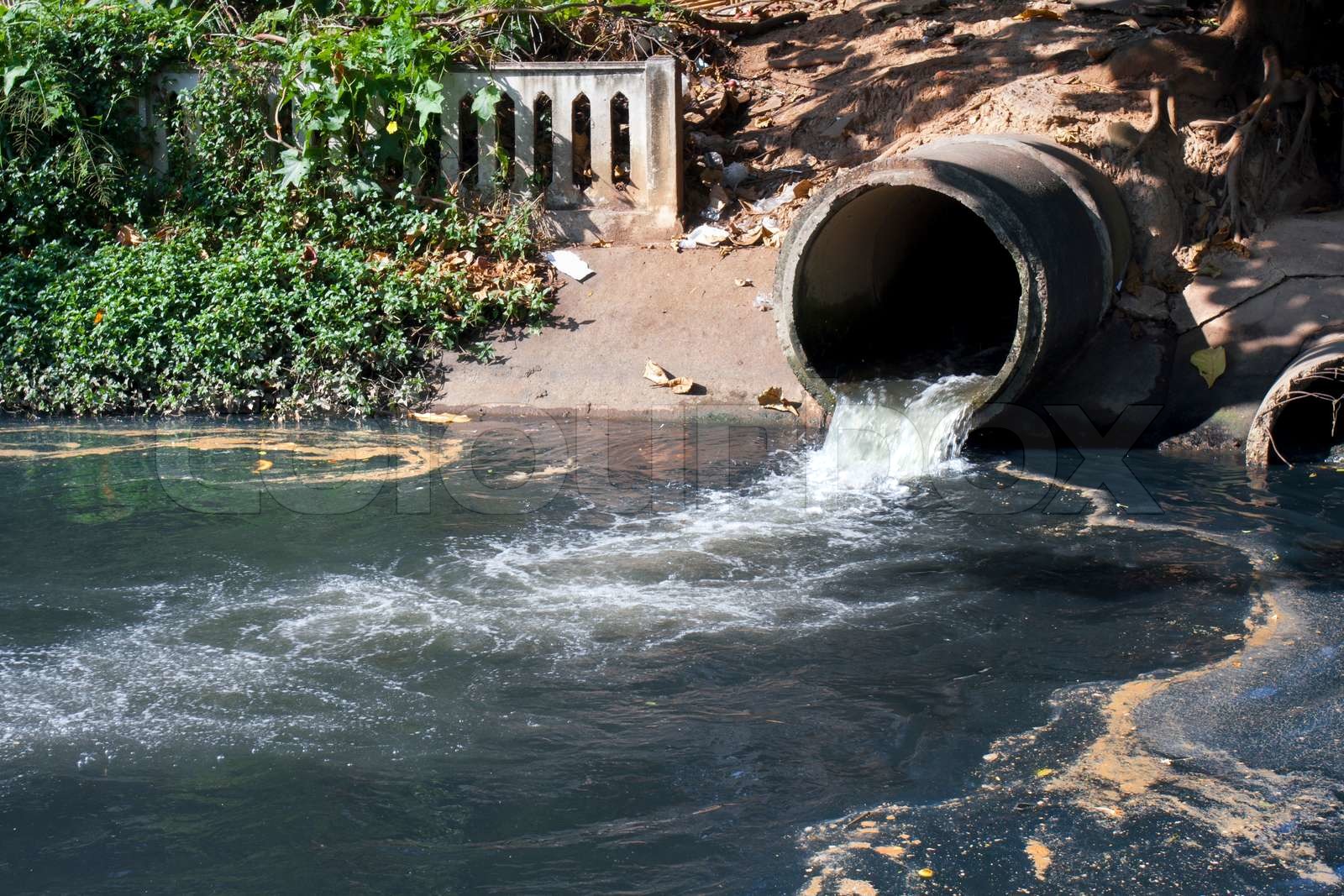Dirty drain, Water pollution in river | Stock image | Colourbox