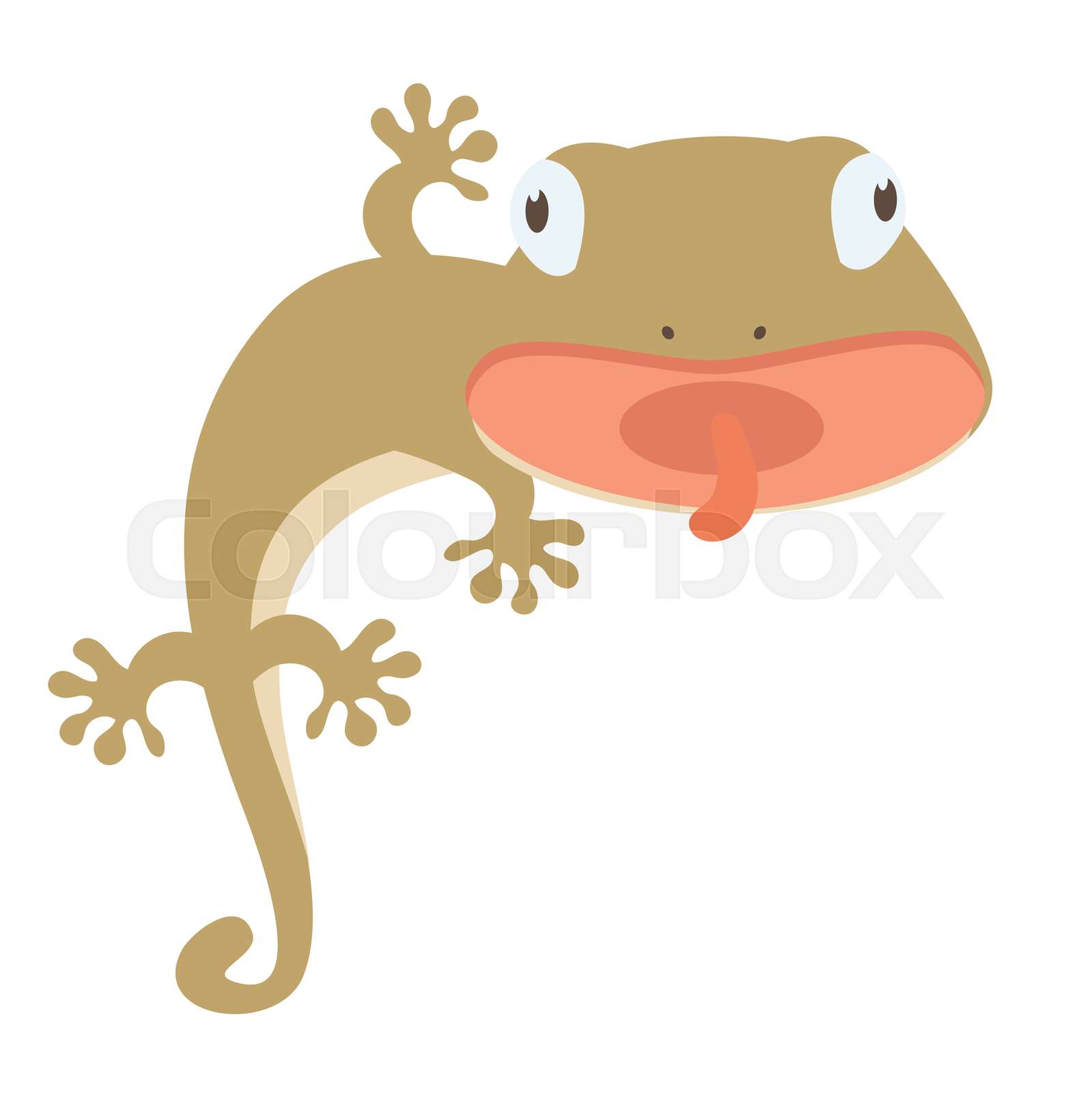 House Lizard Cartoon