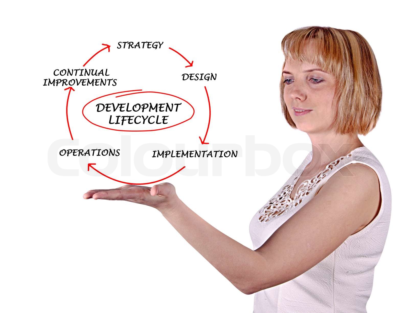 Diagram of development lifecycle | Stock image | Colourbox