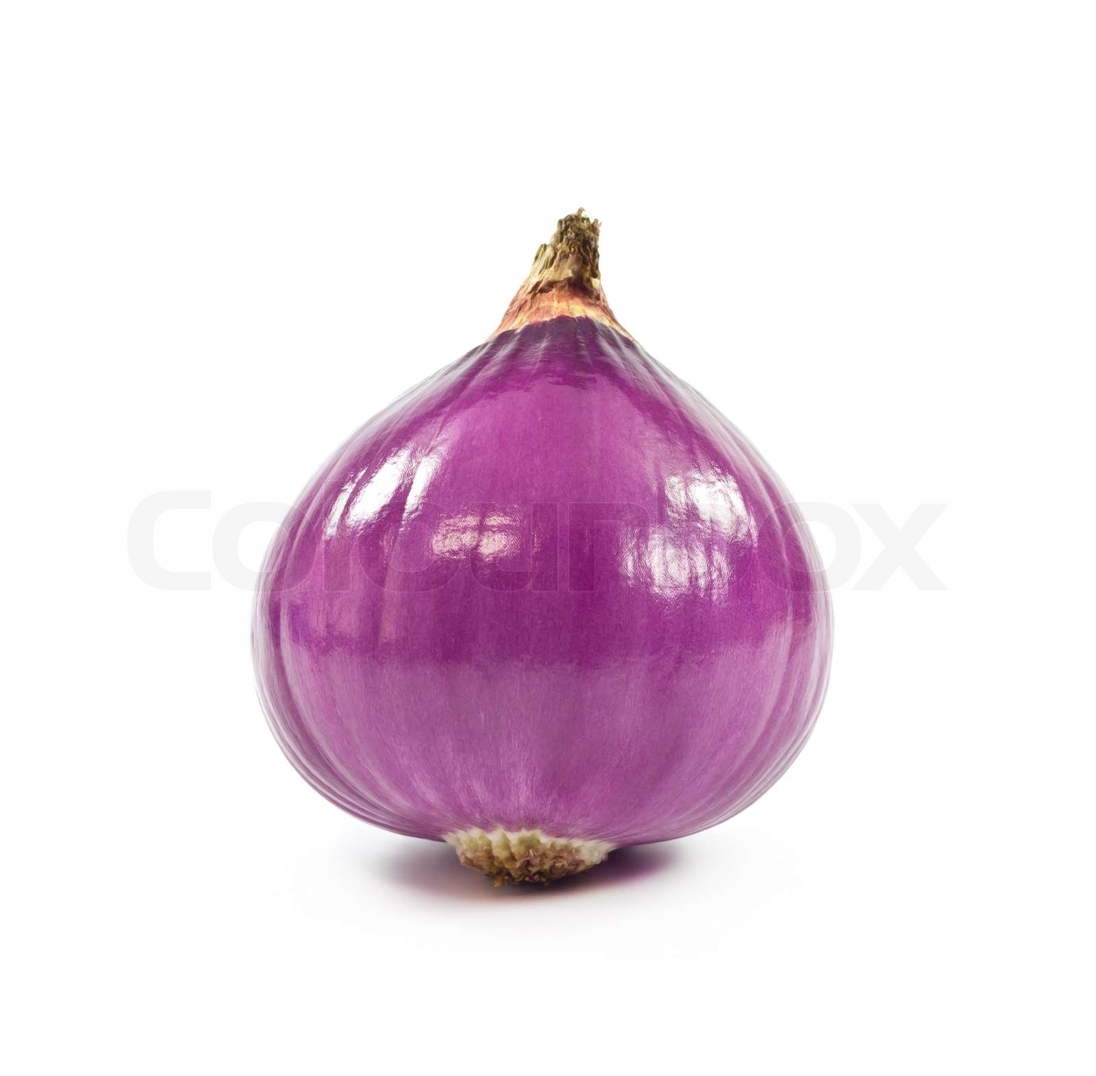 Purple onions | Stock image | Colourbox
