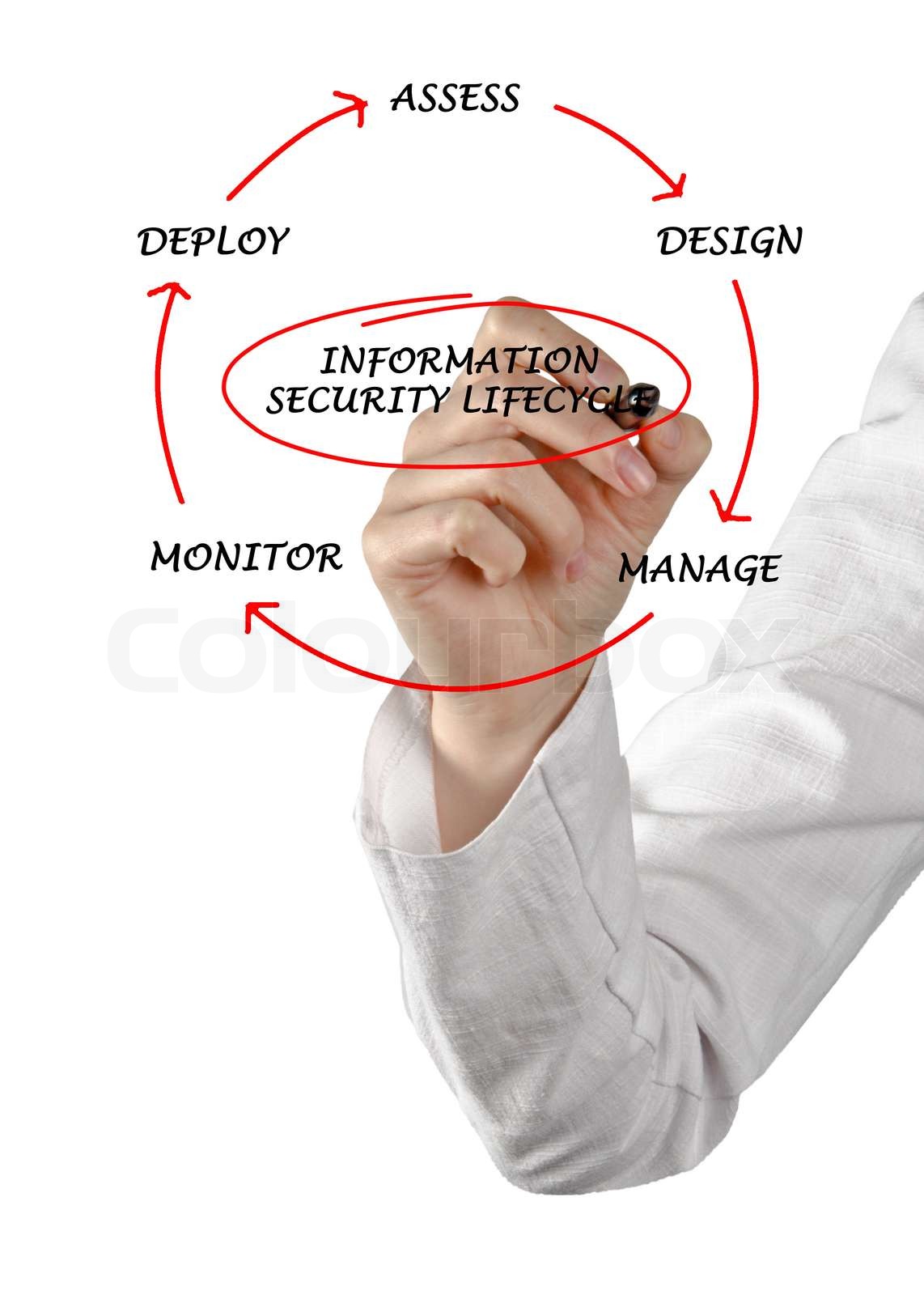 Diagram of information security lifecycle | Stock image | Colourbox
