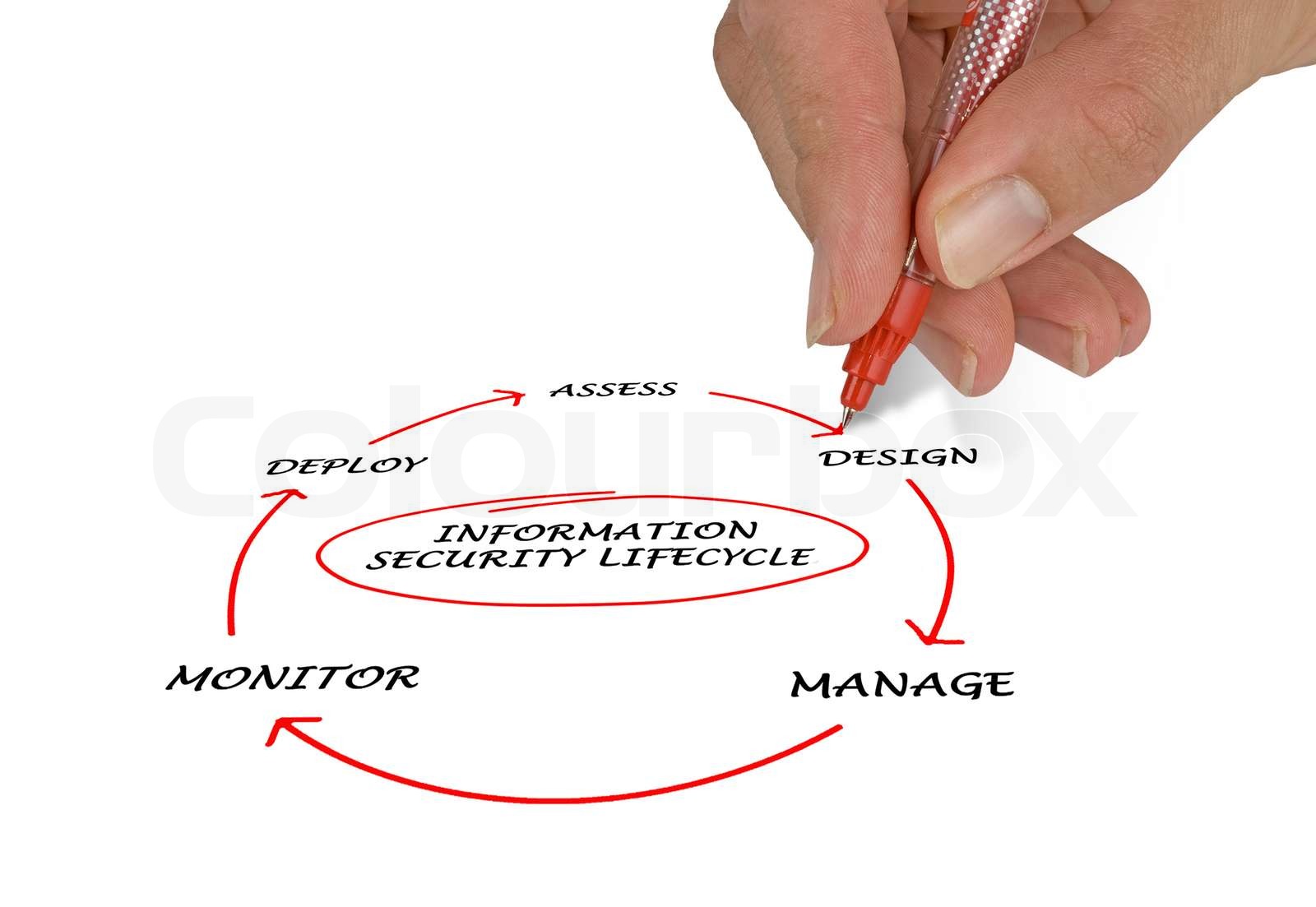 Diagram of information security lifecycle | Stock image | Colourbox