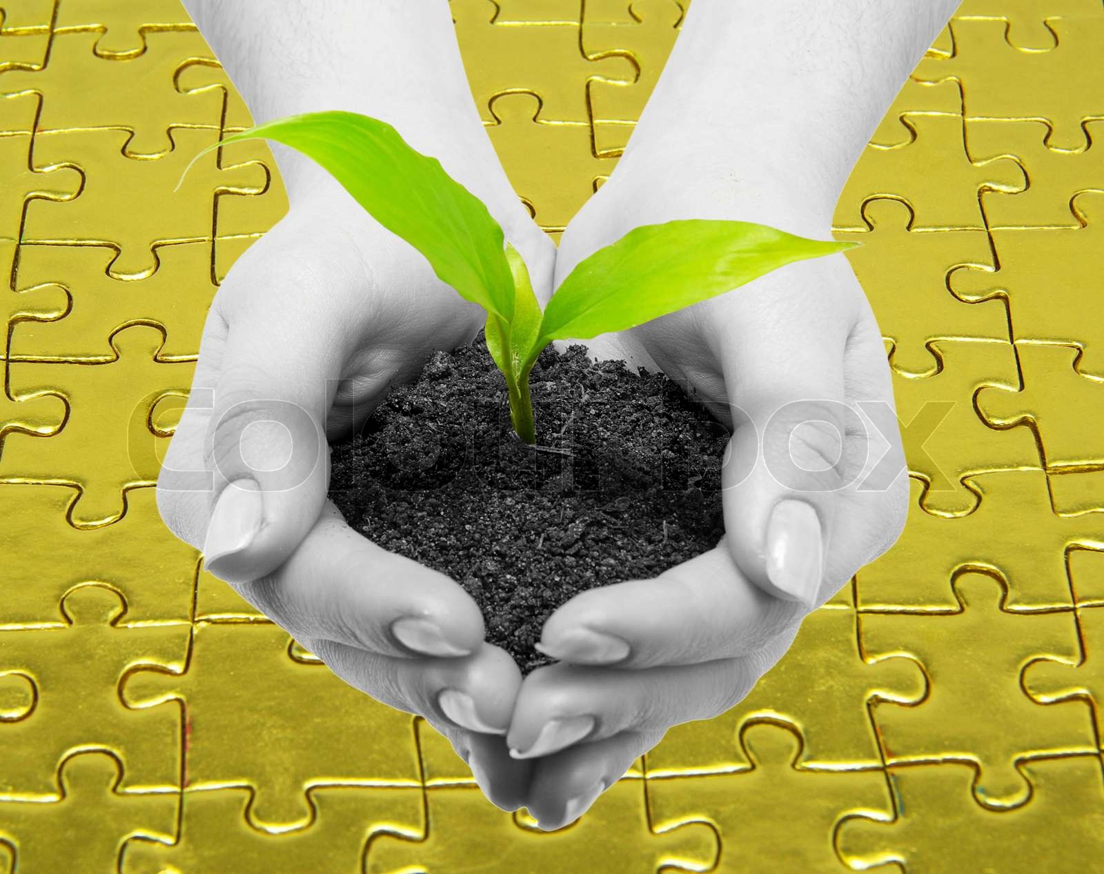 new life | Stock image | Colourbox