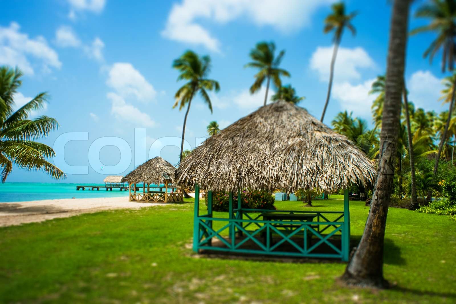 Tropical hut at a beach | Stock image | Colourbox