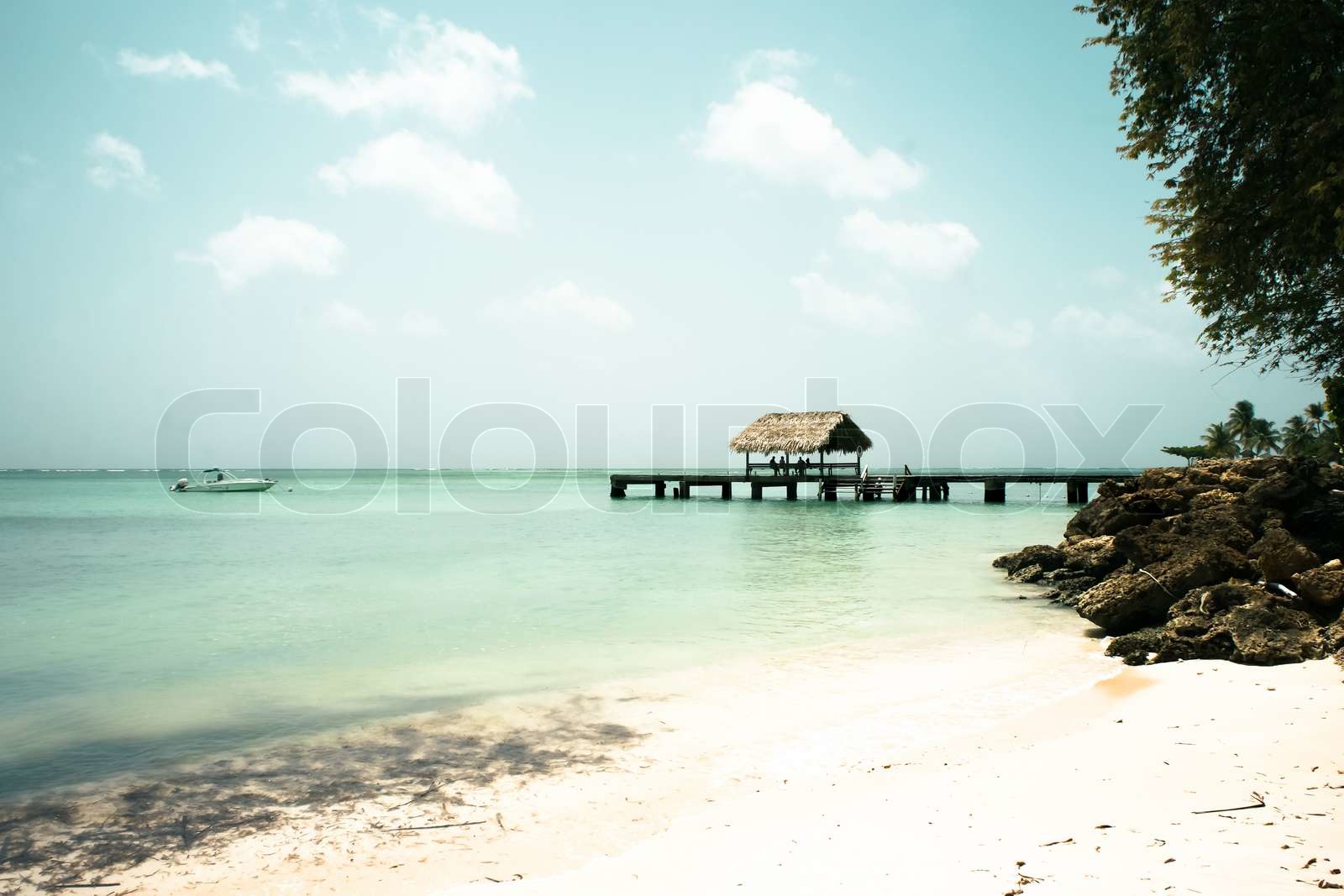Tropical pier at a beach | Stock image | Colourbox