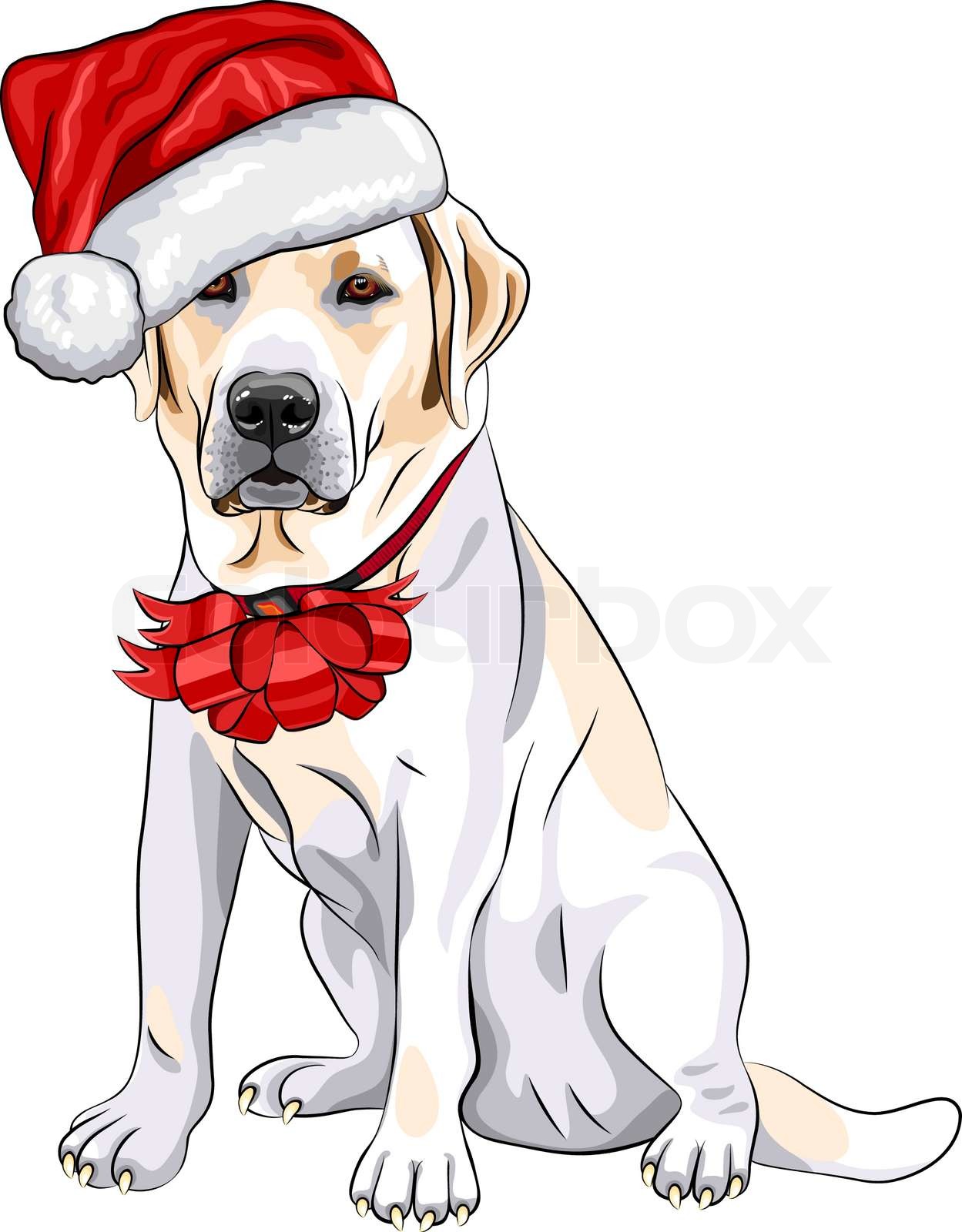 vector dog Labrador in the hat of Santa Claus with Christmas bow ...