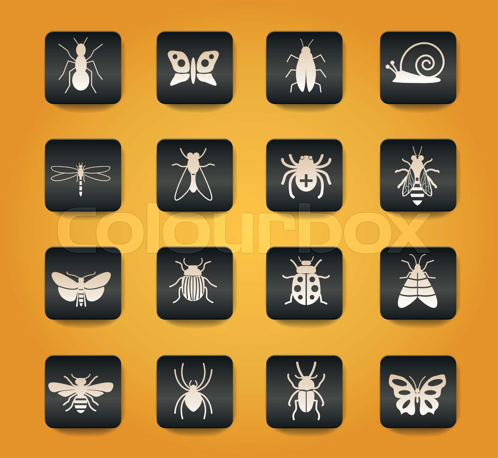insects icon set | Stock vector | Colourbox