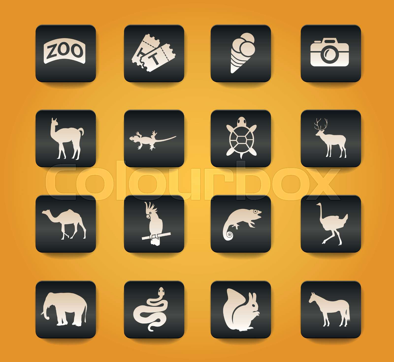 zoo icon set | Stock vector | Colourbox