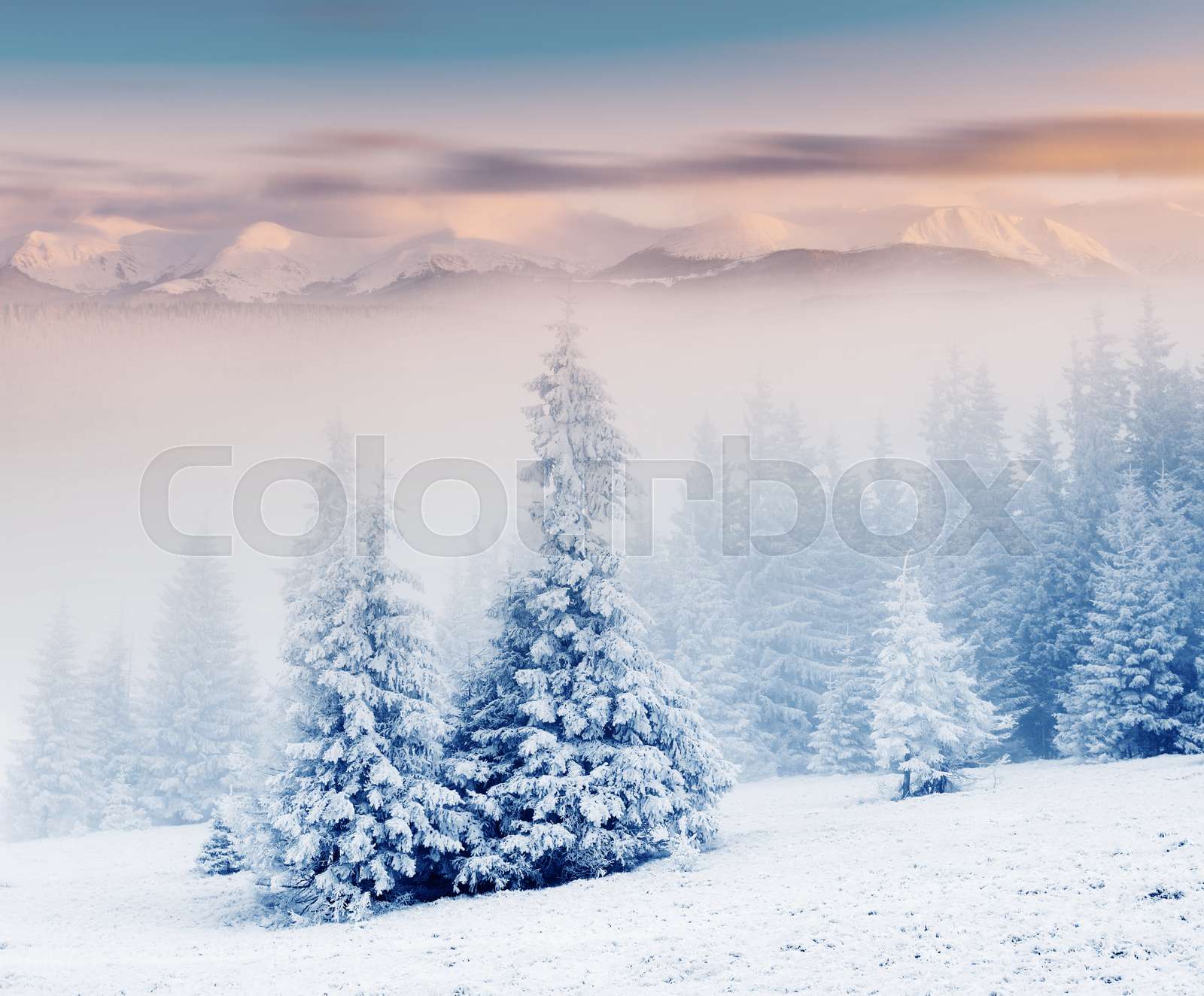 Winter | Stock image | Colourbox