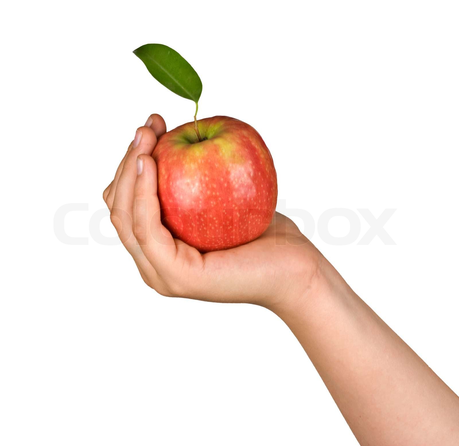 apple in hand | Stock image | Colourbox