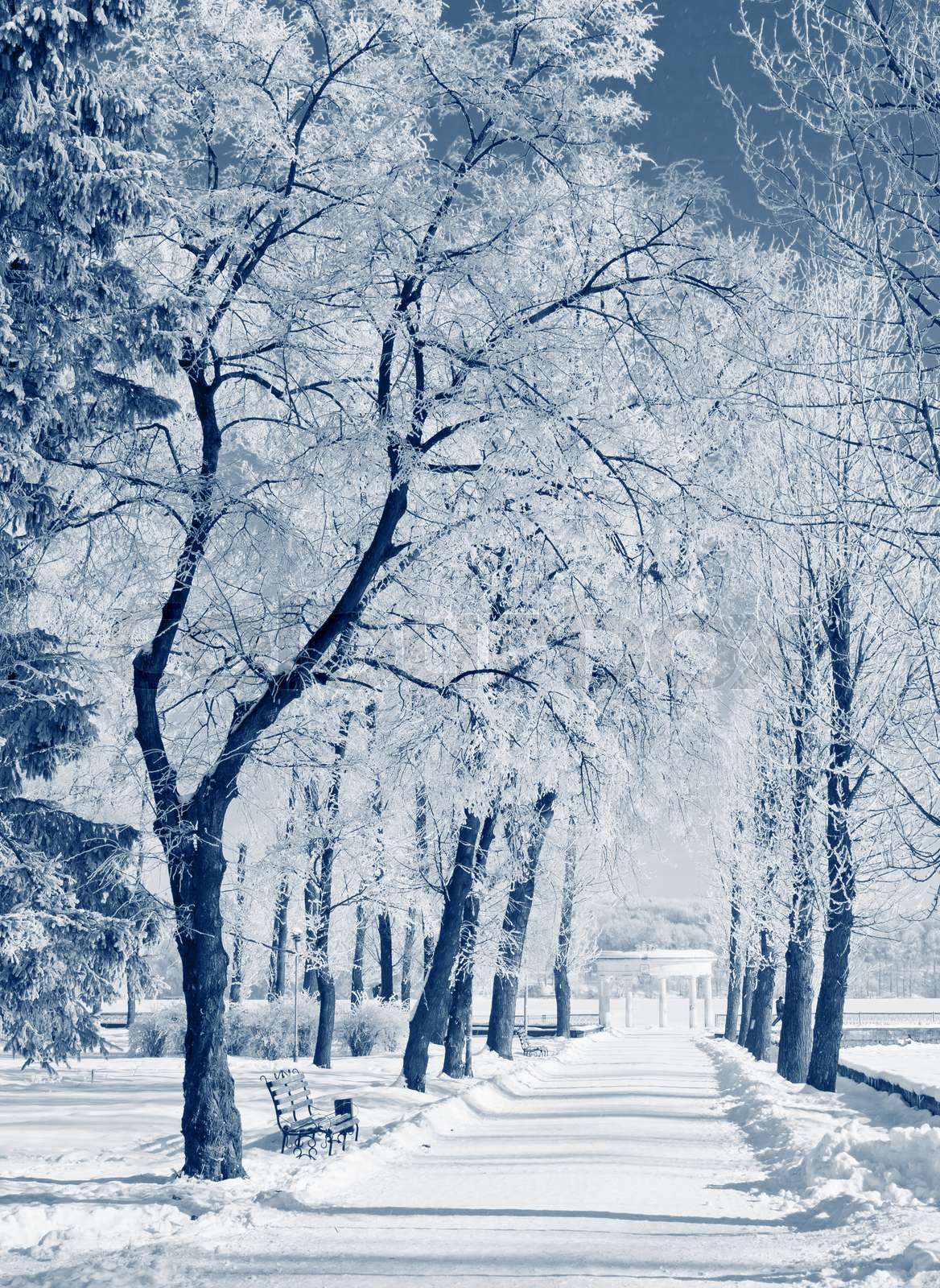 Winter | Stock image | Colourbox