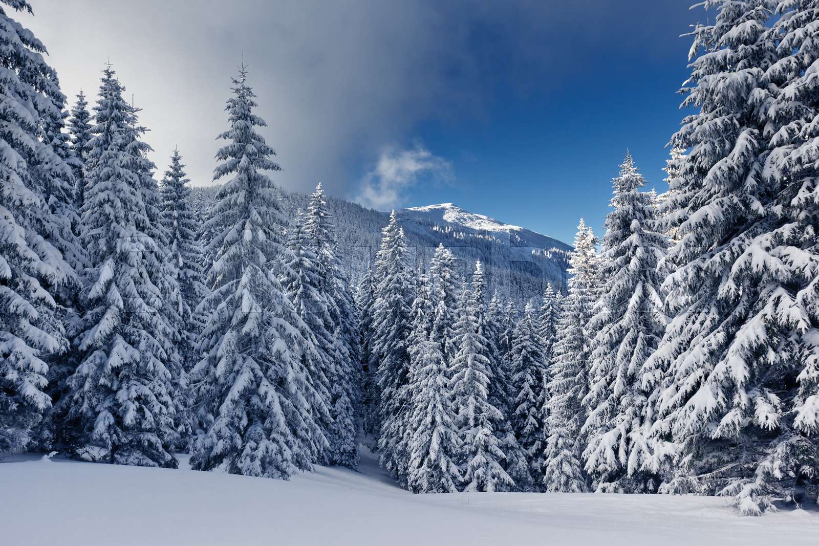 Winter | Stock image | Colourbox