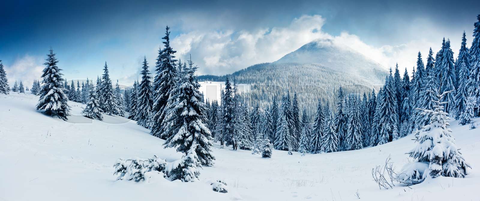 Winter | Stock image | Colourbox