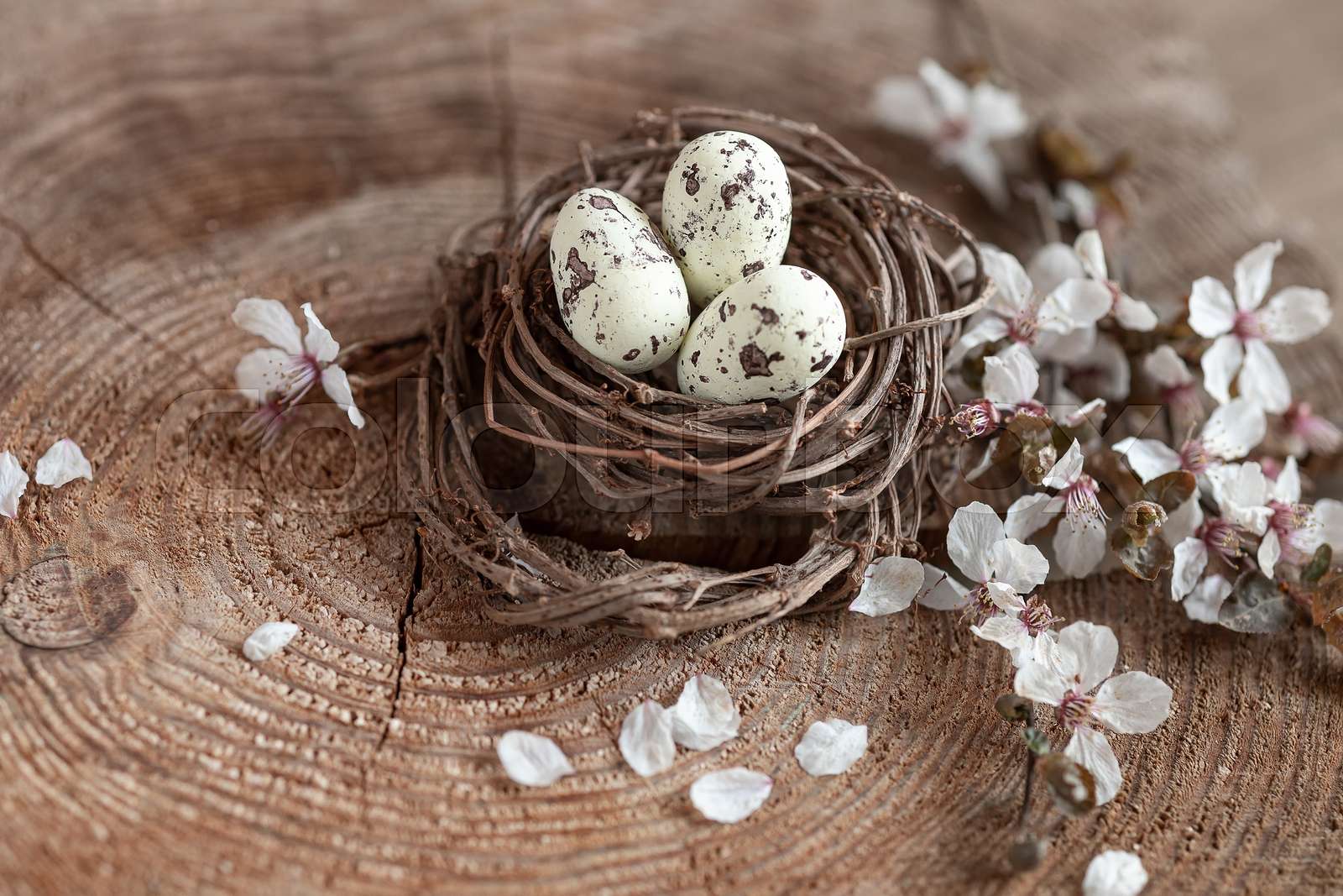 ei, zeichen, eierschale | Stock Bild | Colourbox