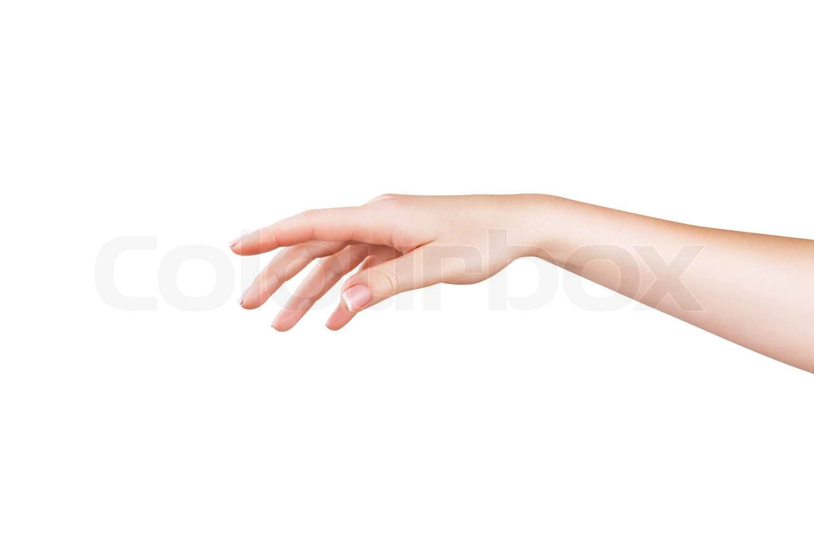 Close-up woman's hand | Stock image | Colourbox