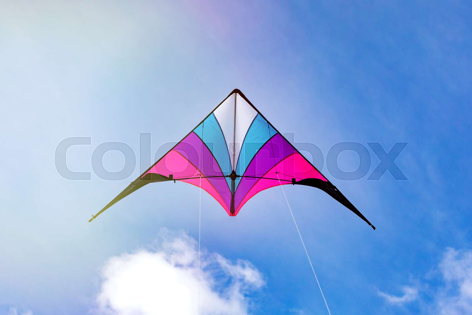 Pink, purple and blue kite flying | Stock image | Colourbox
