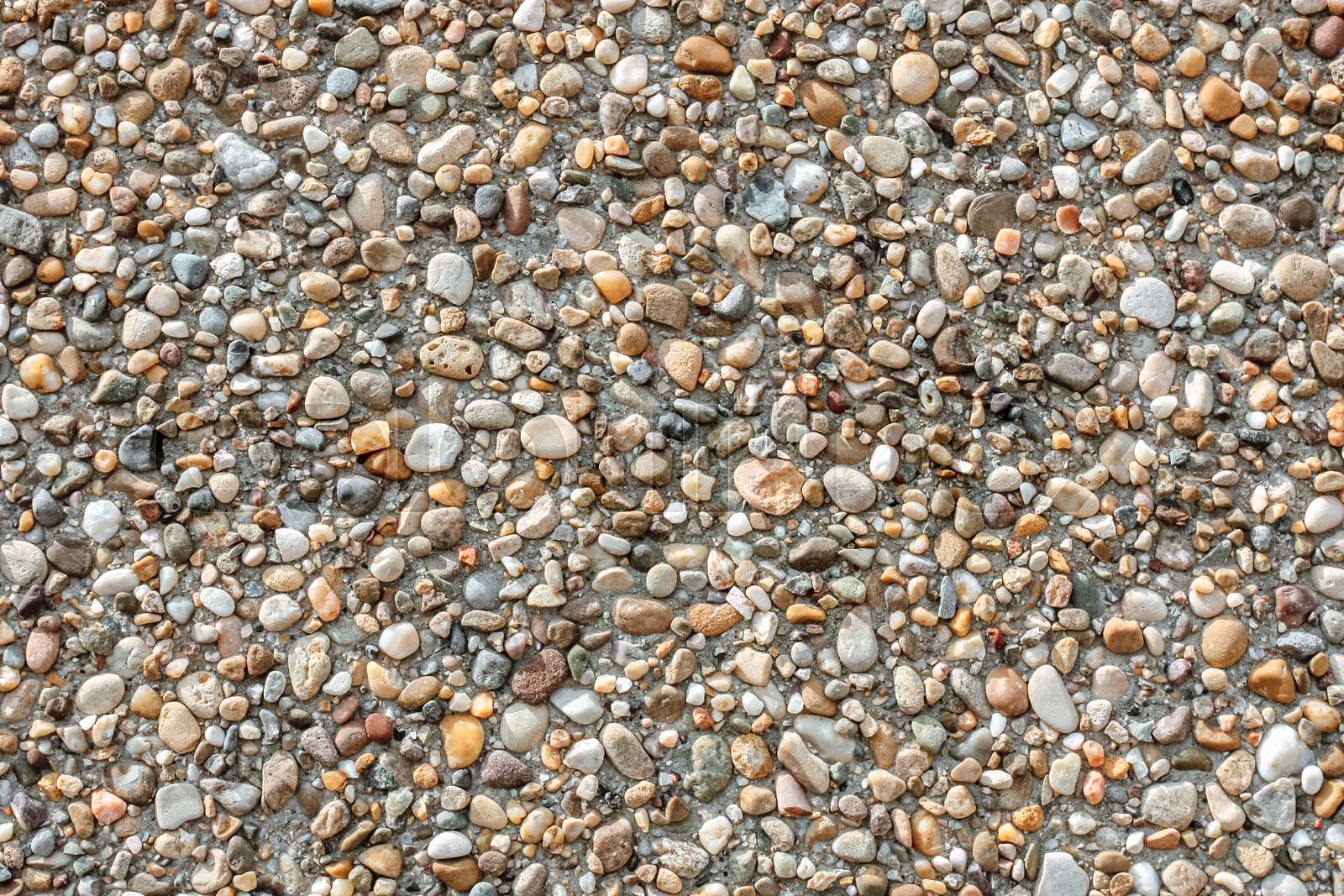 Rough surface of small pebble stone. | Stock image | Colourbox