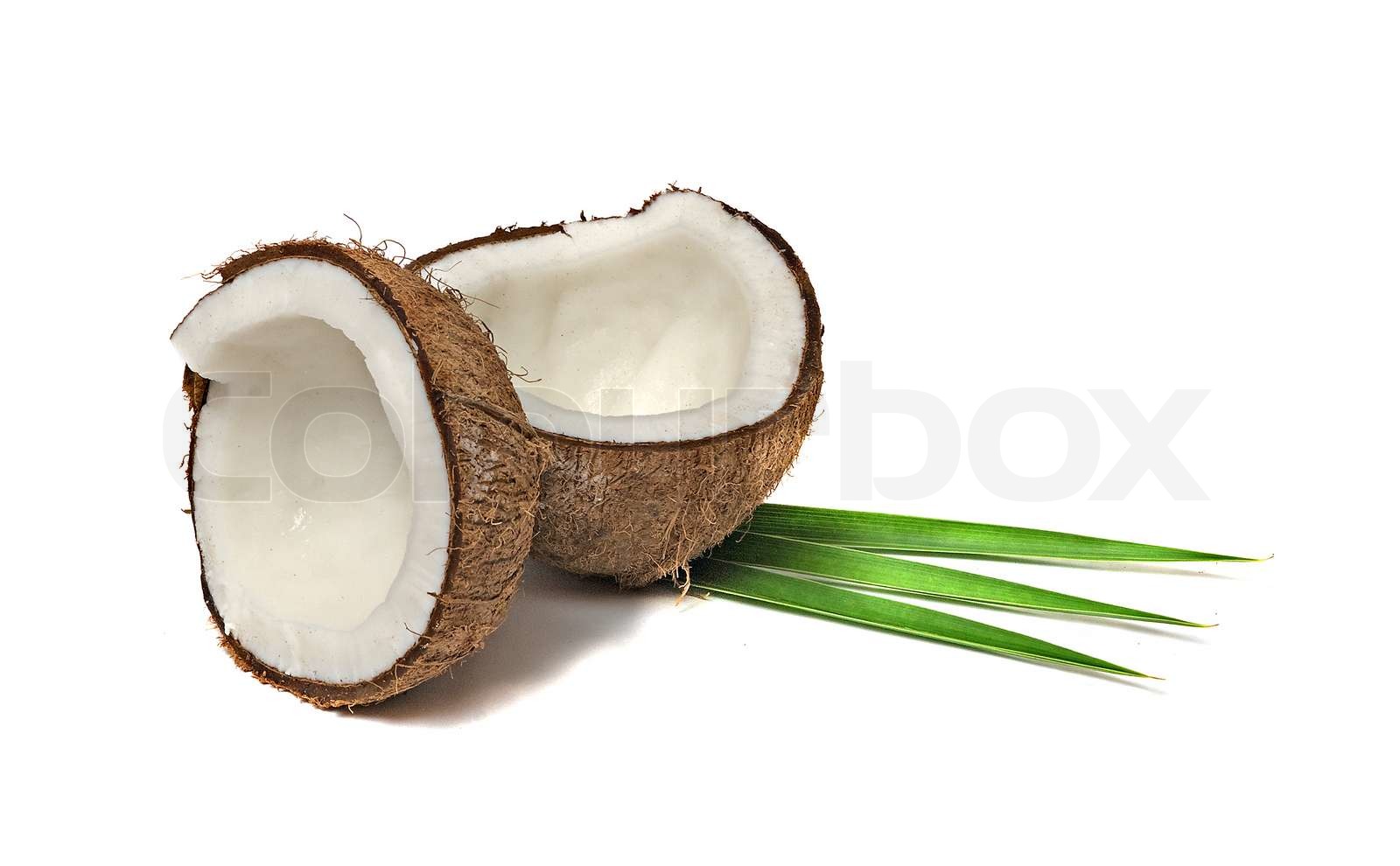 Coconut sectionsisolated auf weißem Hintergrund | Stock Bild | Colourbox