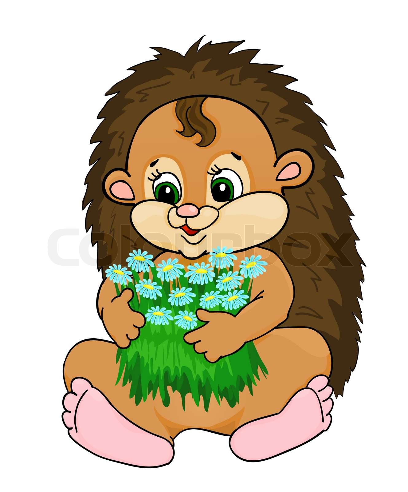igel, cartoon, art | Stock-Vektor | Colourbox