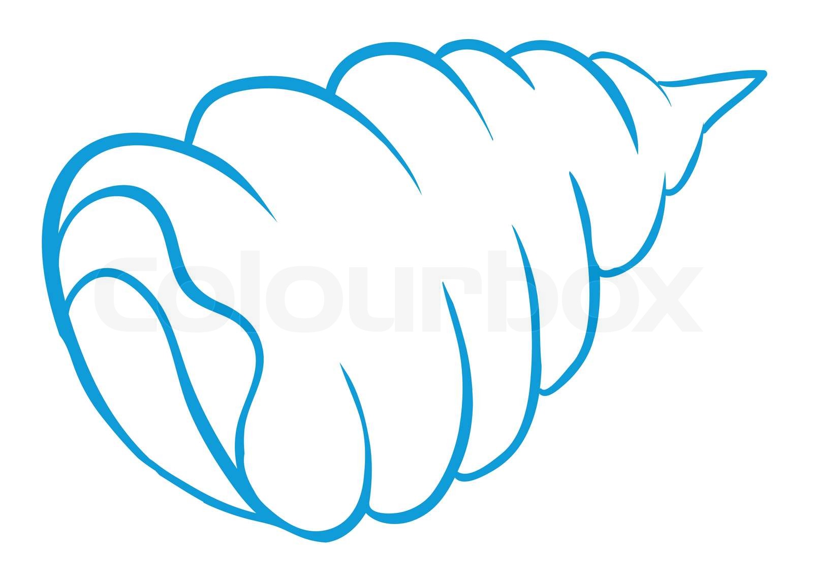 a cockleshell sketch | Stock vector | Colourbox