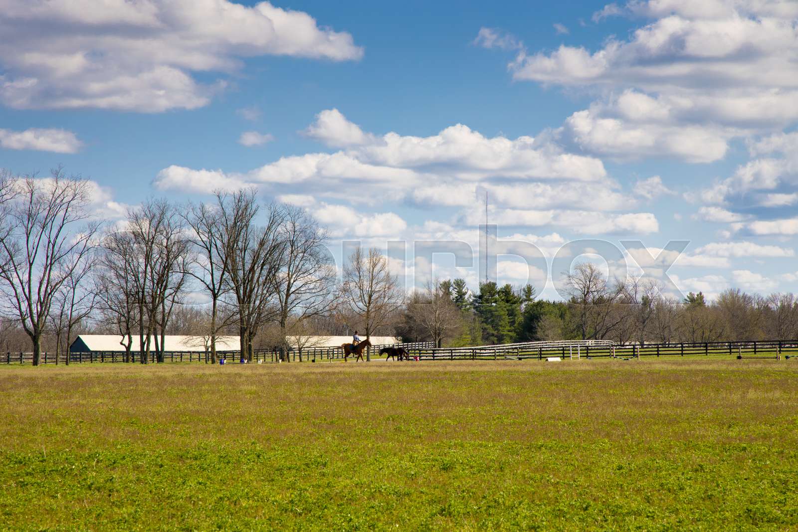 Early spring countryside landscape. | Stock image | Colourbox