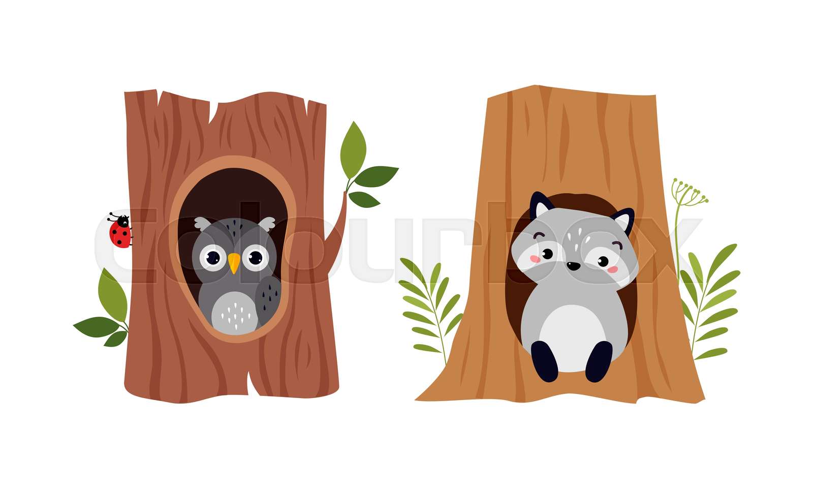 Raccoon In Tree Hollow