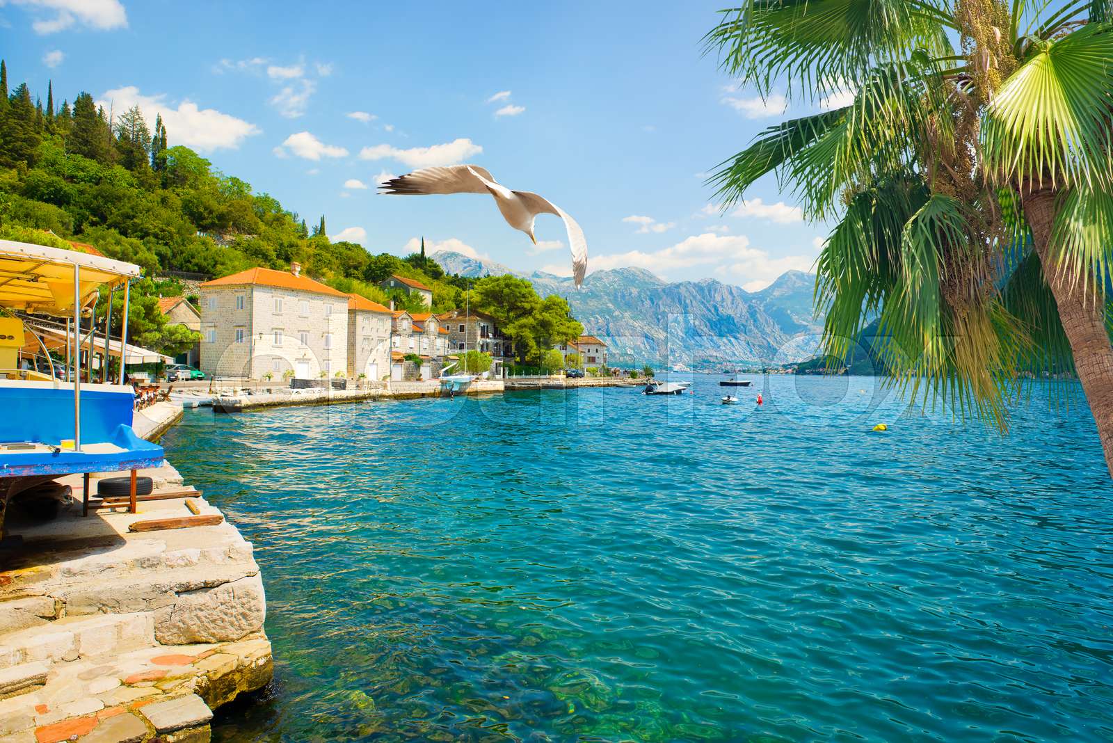 perast, havet, destination | Stock foto | Colourbox
