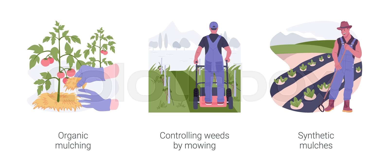Weed management isolated cartoon vector illustrations set. | Stock ...