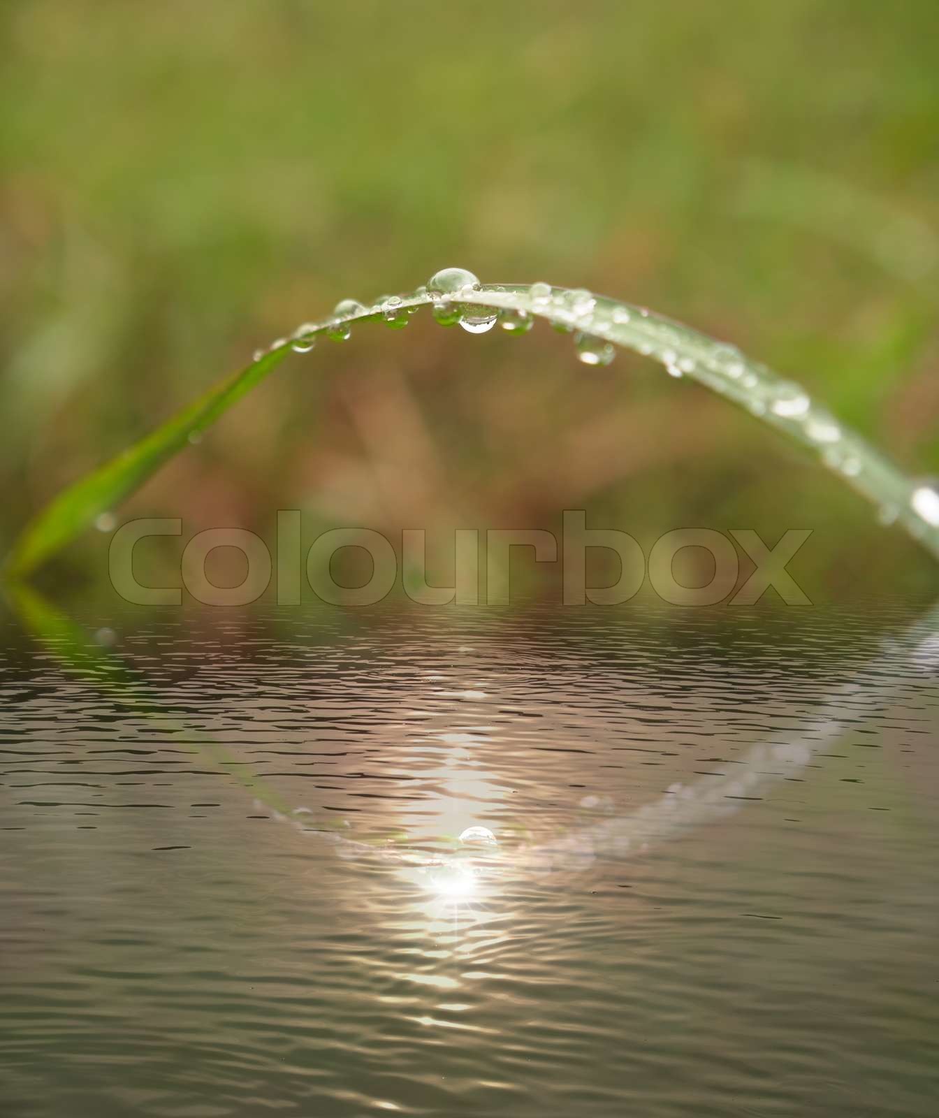Water drop | Stock Bild | Colourbox