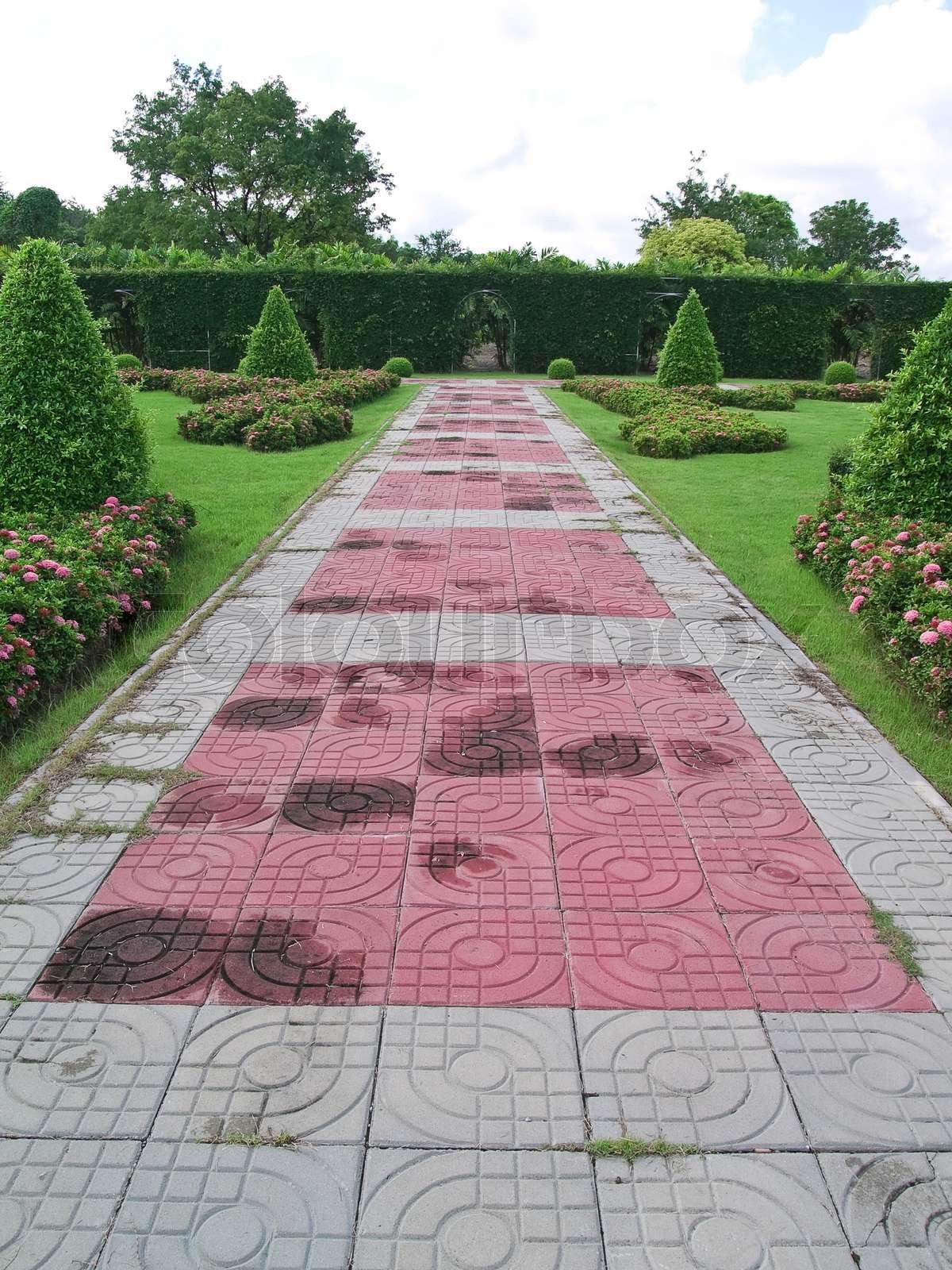 Park Pathway | Stock image | Colourbox