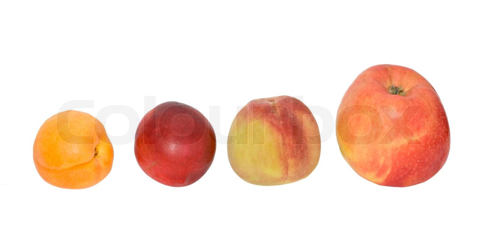 Row of Fruits: apples, peach , nectarine, and apricot | Stock image ...