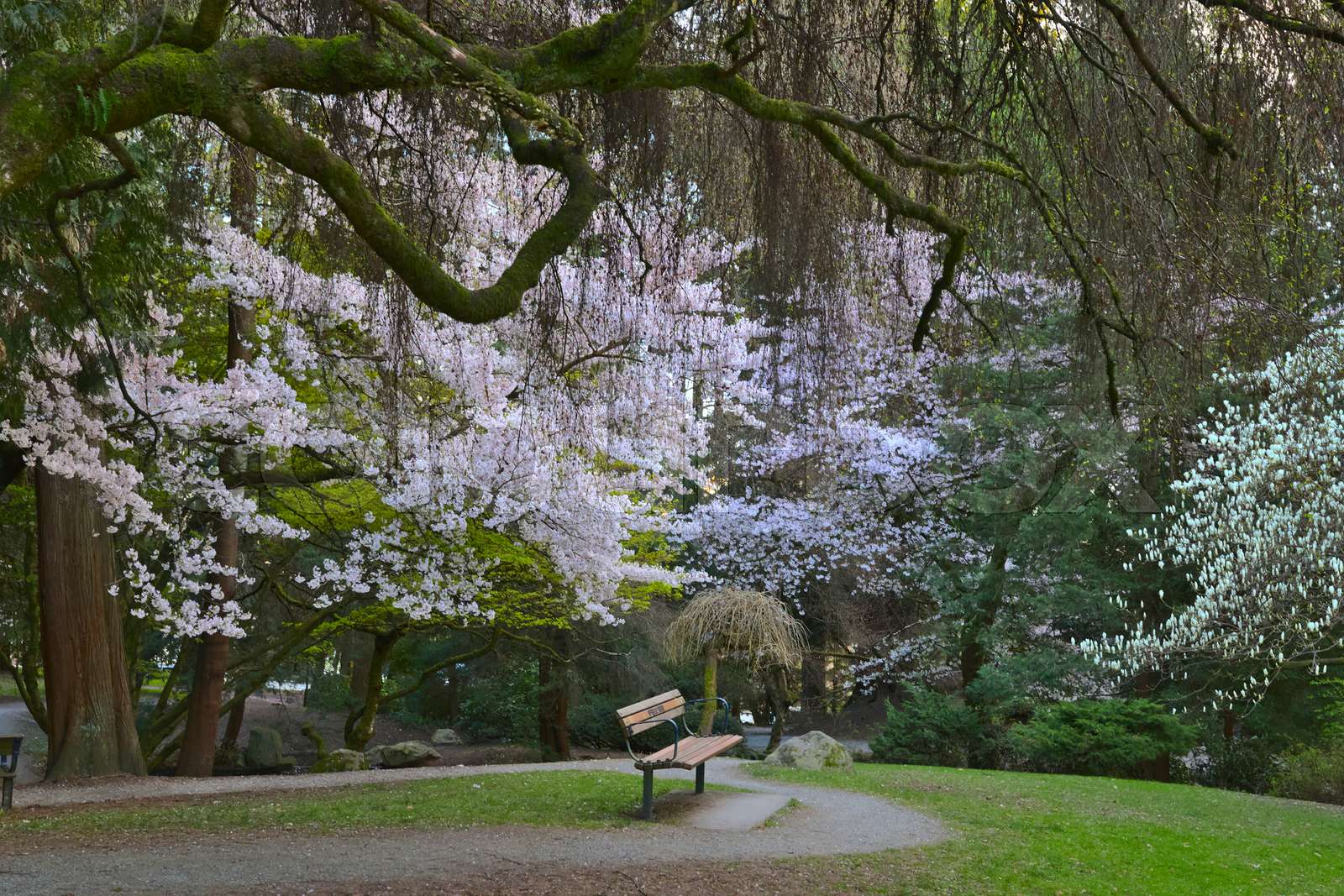 Spring in park | Stock image | Colourbox