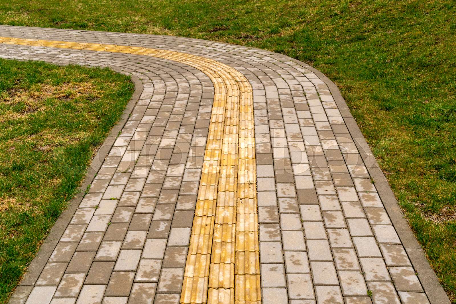 Path curving through lawn in park | Stock image | Colourbox