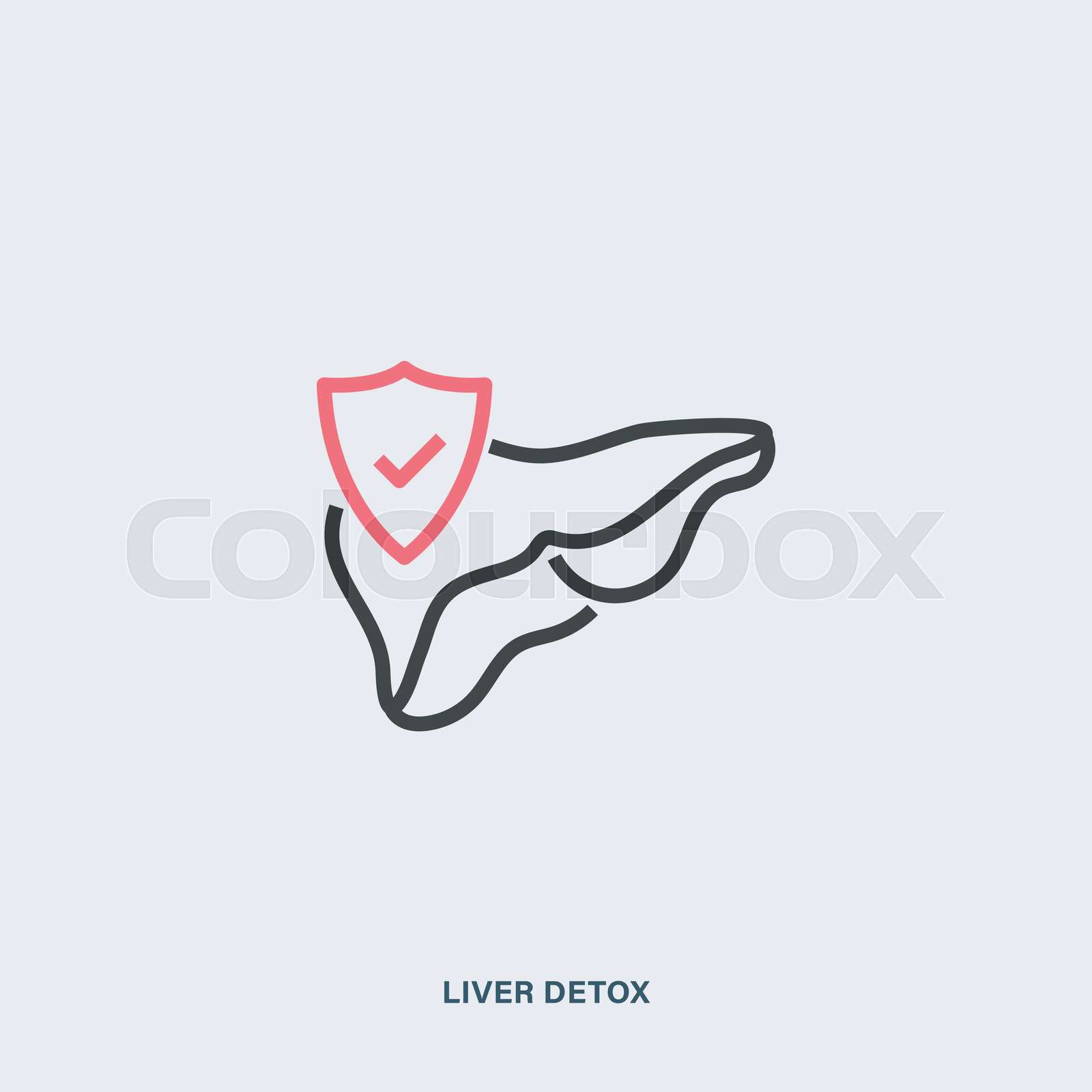 Liver detox outline vector icon. Isolated linear picture of liver and ...